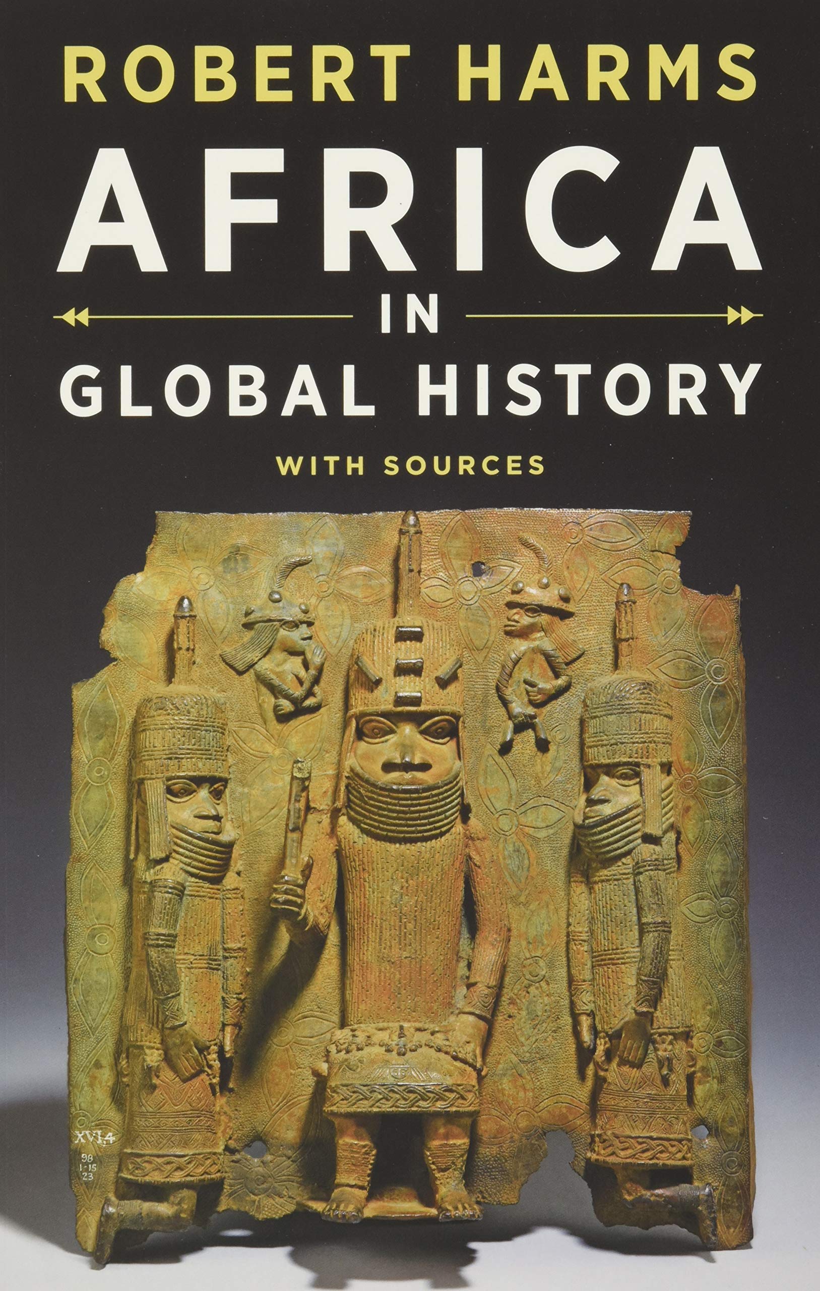 Amazon.com: Africa in Global History with Sources: 9780393927573: Harms, Robert: Books