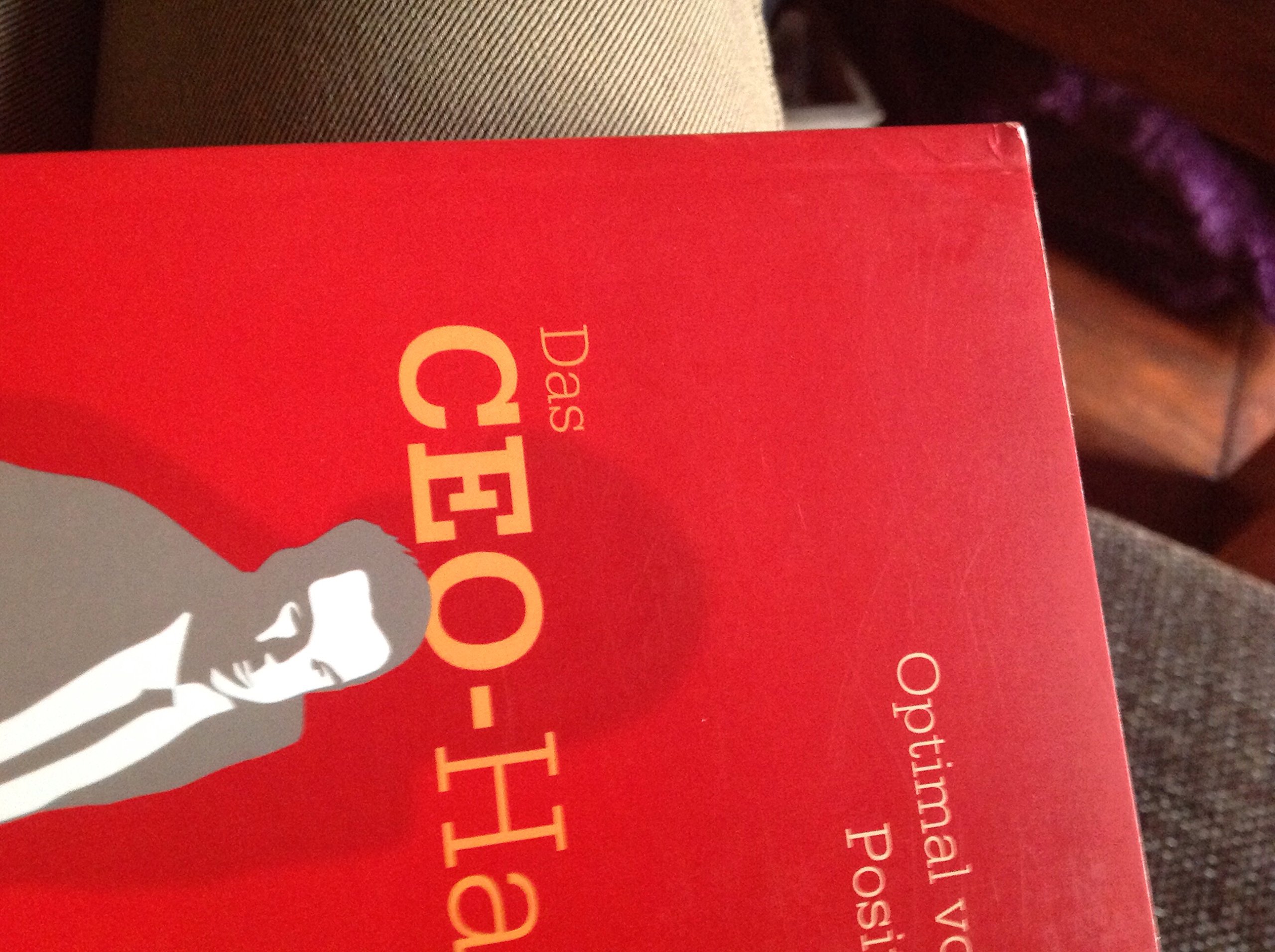 Das CEO-Handbuch: Optimal vorbereitet für Ihre Position an der Spitze ...