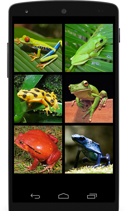 Frog Sounds:Amazon.de:Appstore for Android