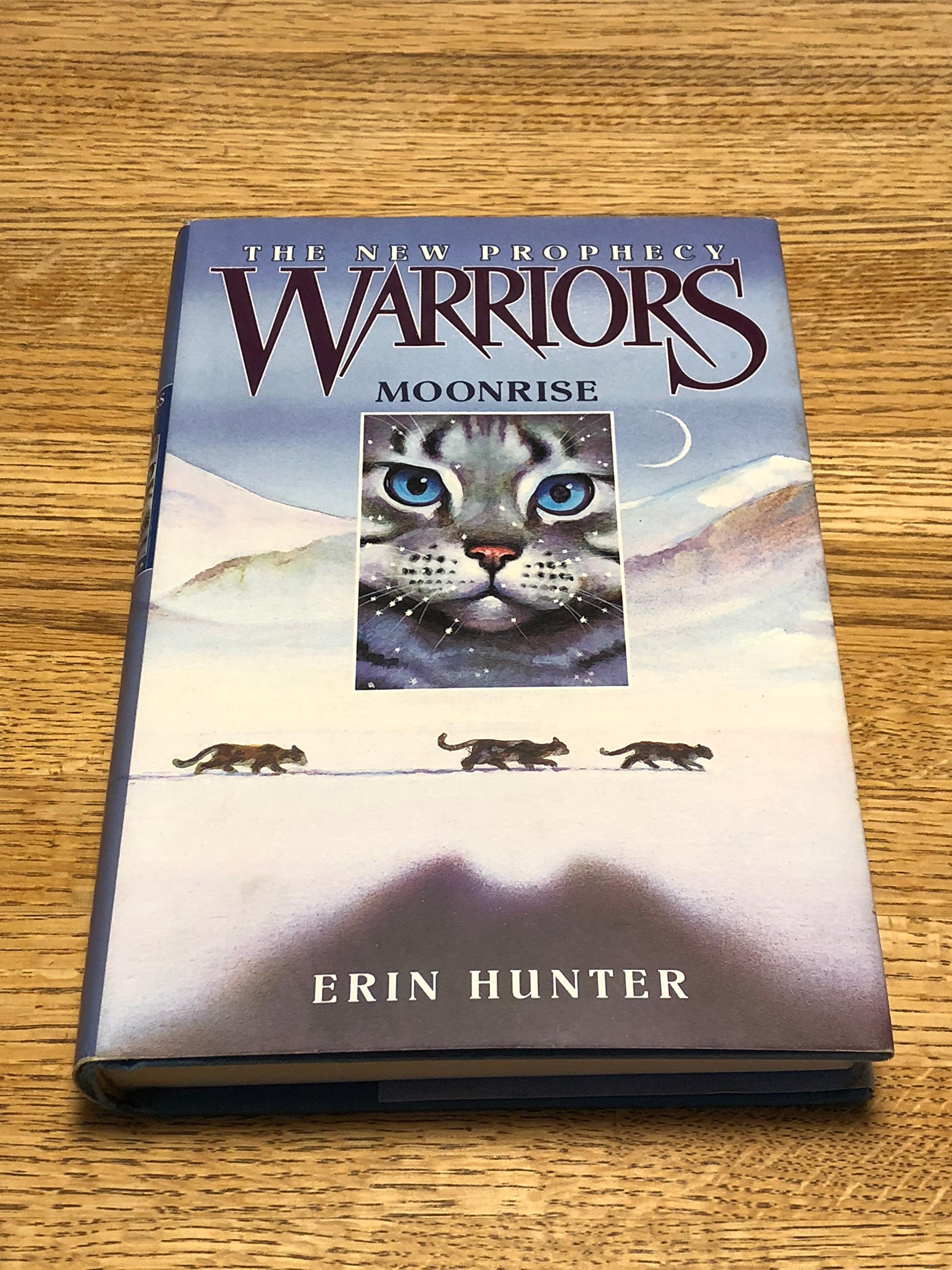 Warriors Erin Hunter Hawkfrost