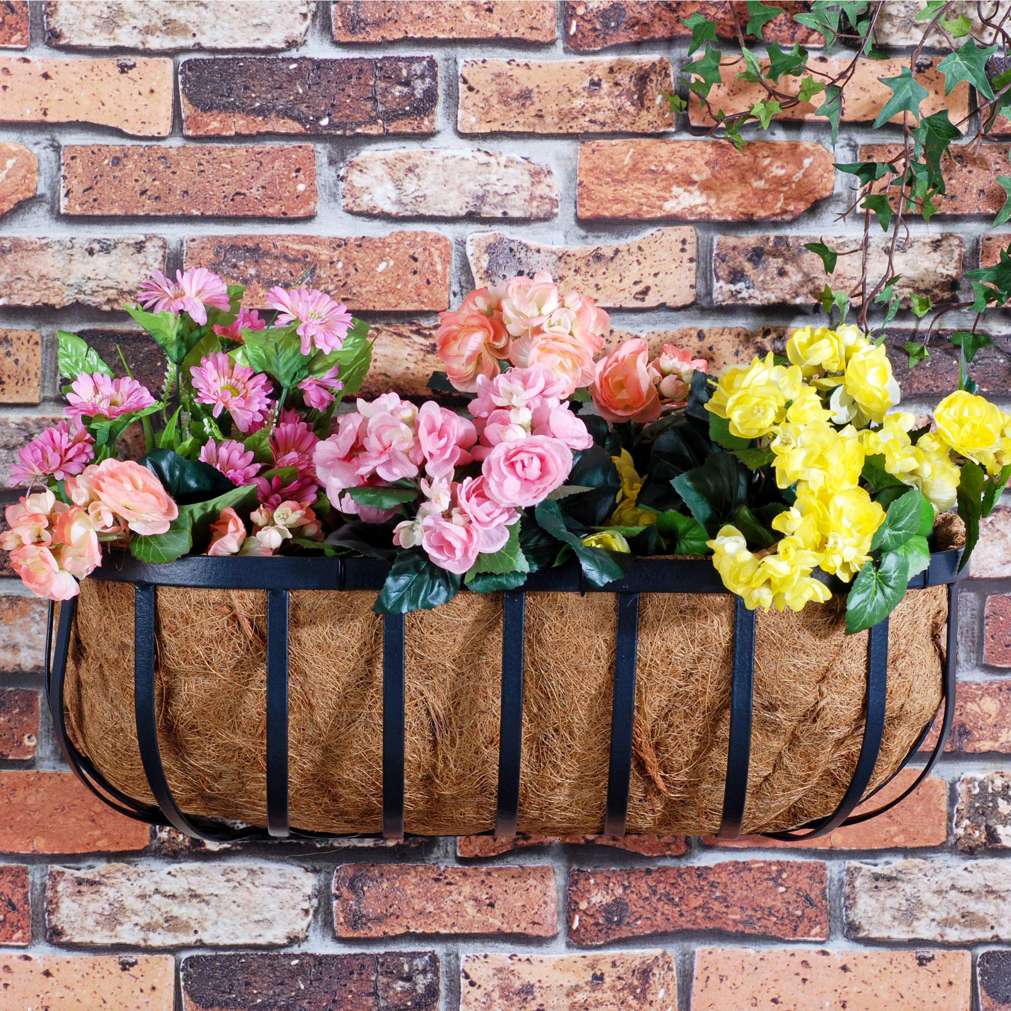 Snapklik.com : Arcadia Garden Products 1529 Solstice Series Wall Trough ...