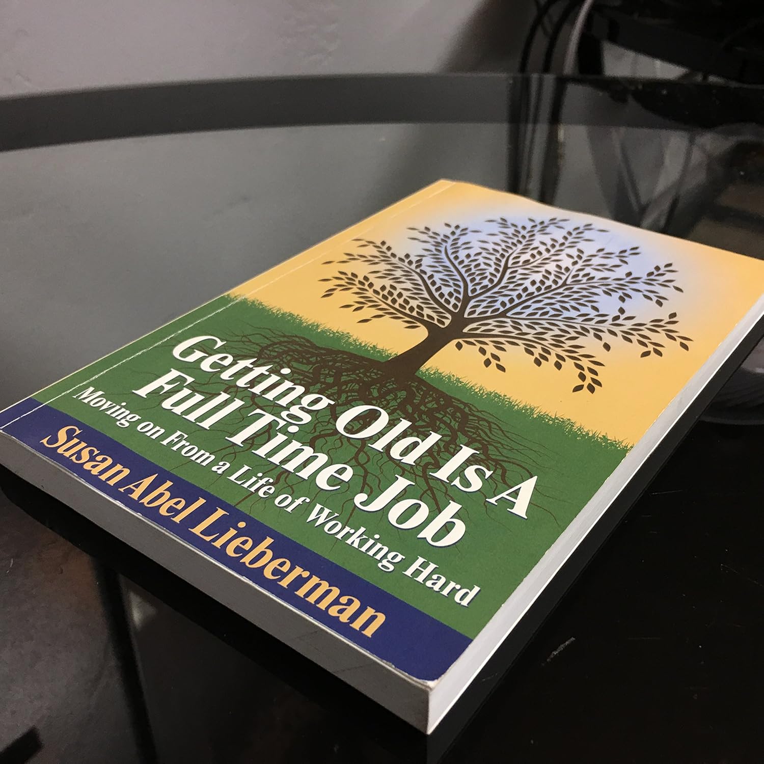 Getting Old Is A Full Time Job: Moving On From a Life of Working Hard: Susan Abel Lieberman ...