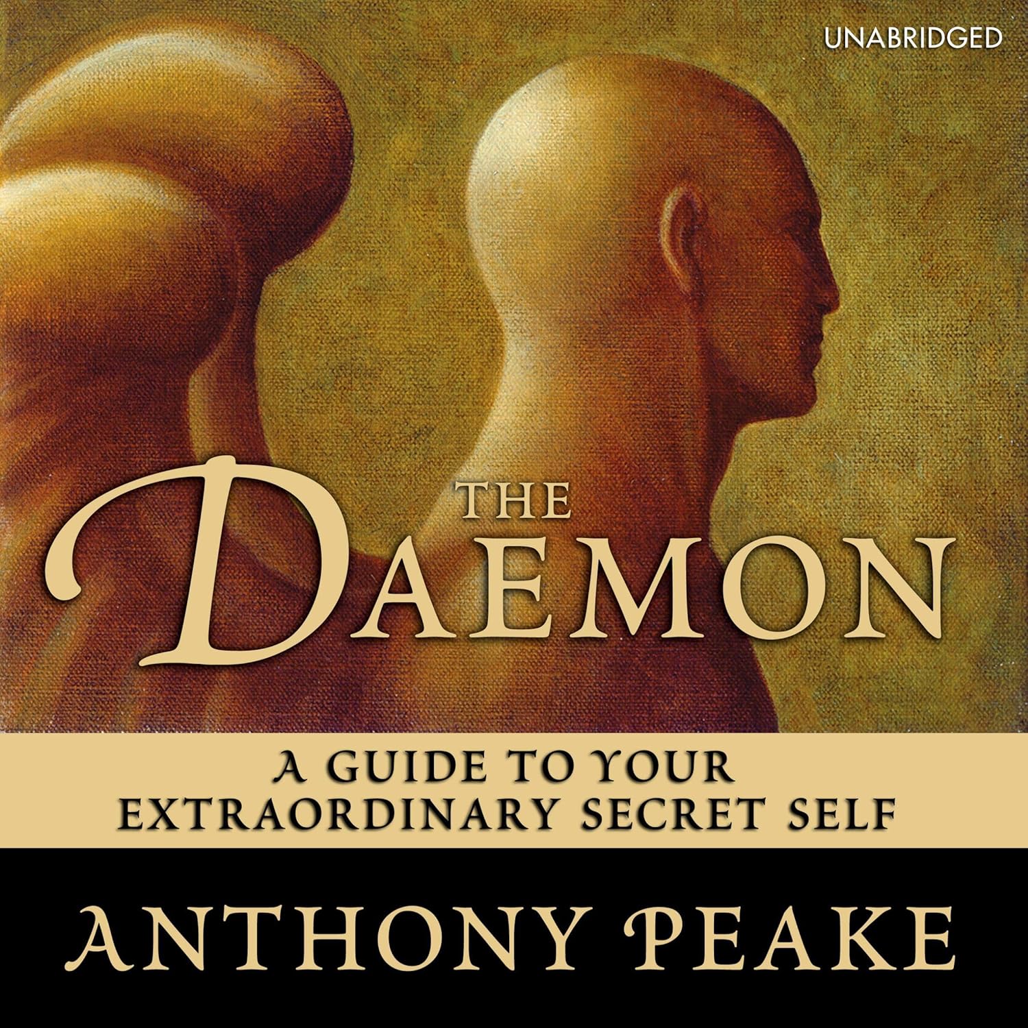 The Daemon: A Guide to Your Extraordinary Secret Self (Audible Audio ...
