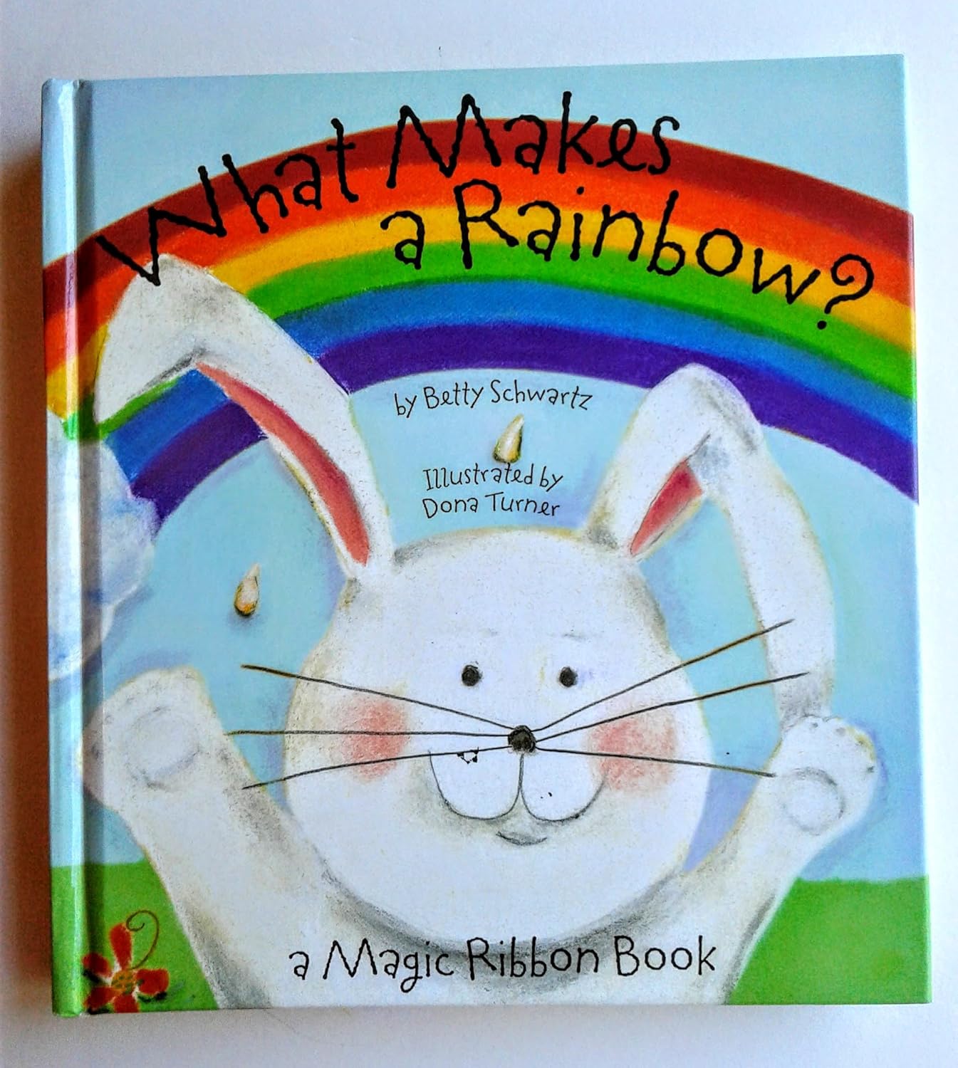 Amazon.com: What Makes a Rainbow?: 0001865033332: Betty Schwartz: Books