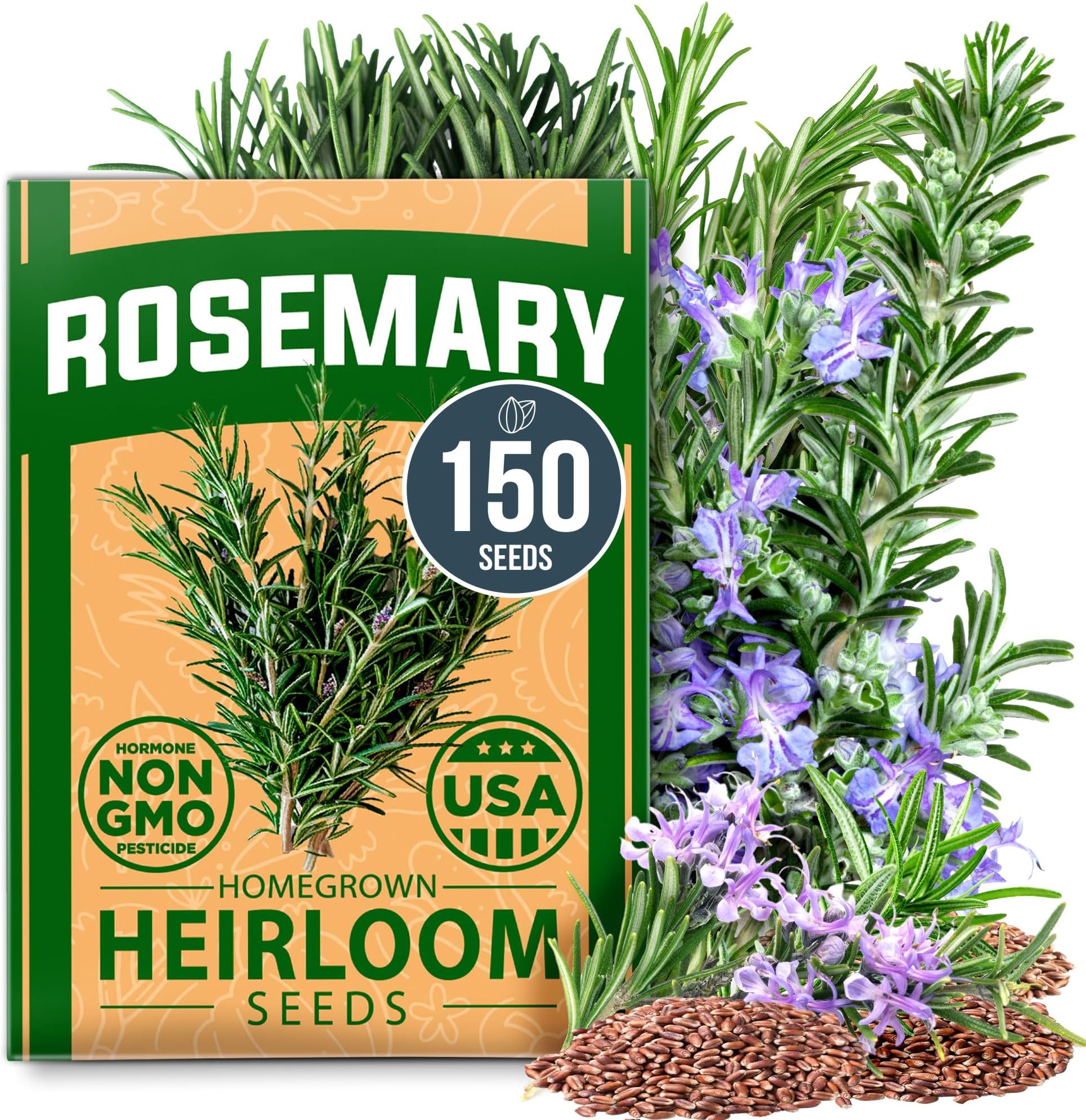 Amazon.com : Rosemary, Herb Seed, Heirloom, 20+ Seeds, Healthy and ...