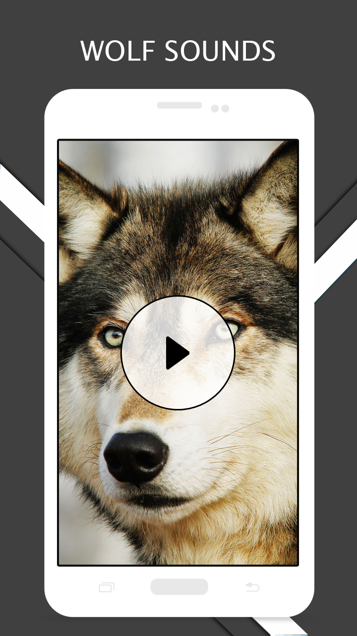 Wolf Sounds - App on Amazon Appstore