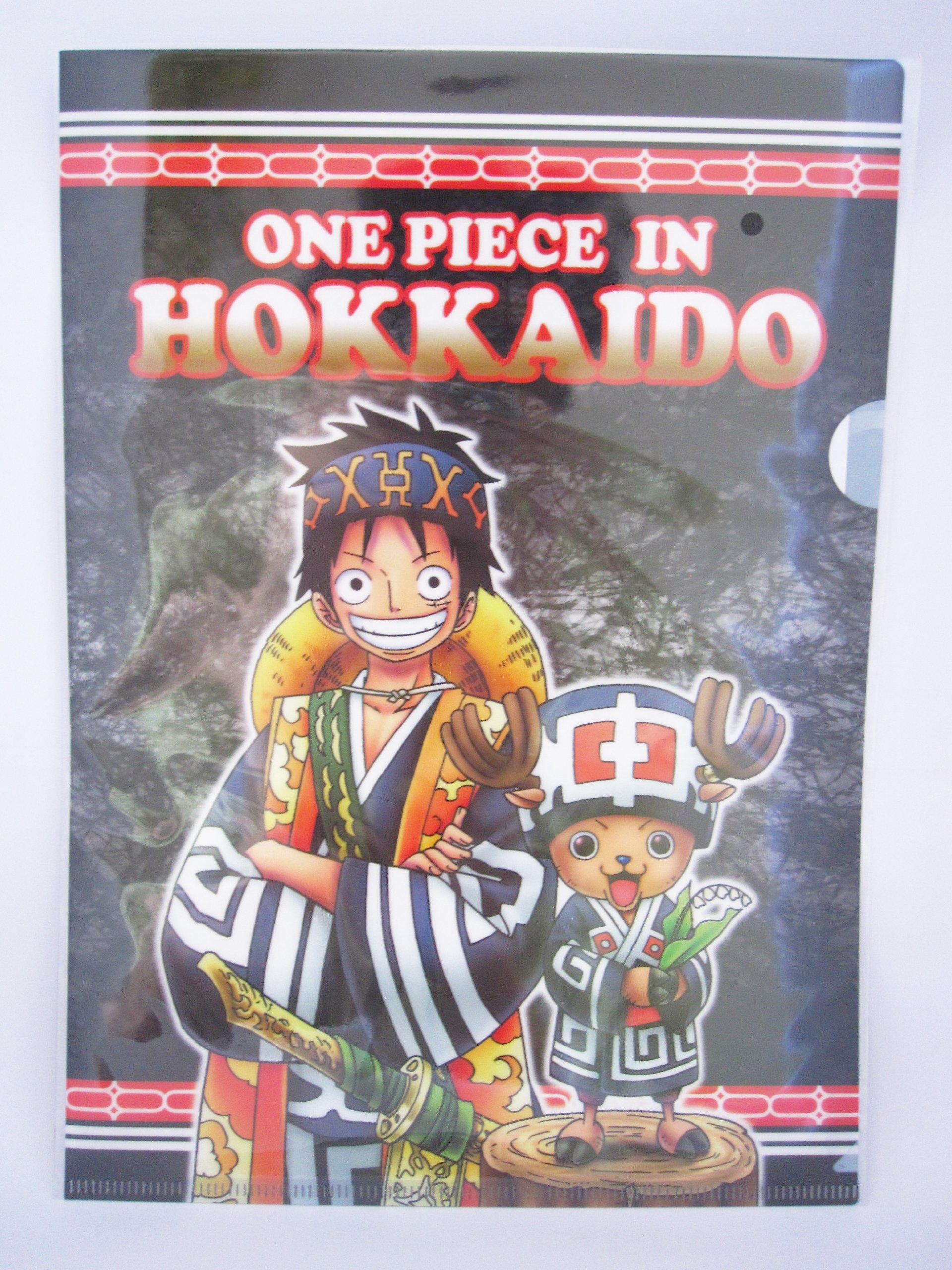 Buy One Piece A4 Clear Project File Folder in Hokkaido Ver. for Unisex ...