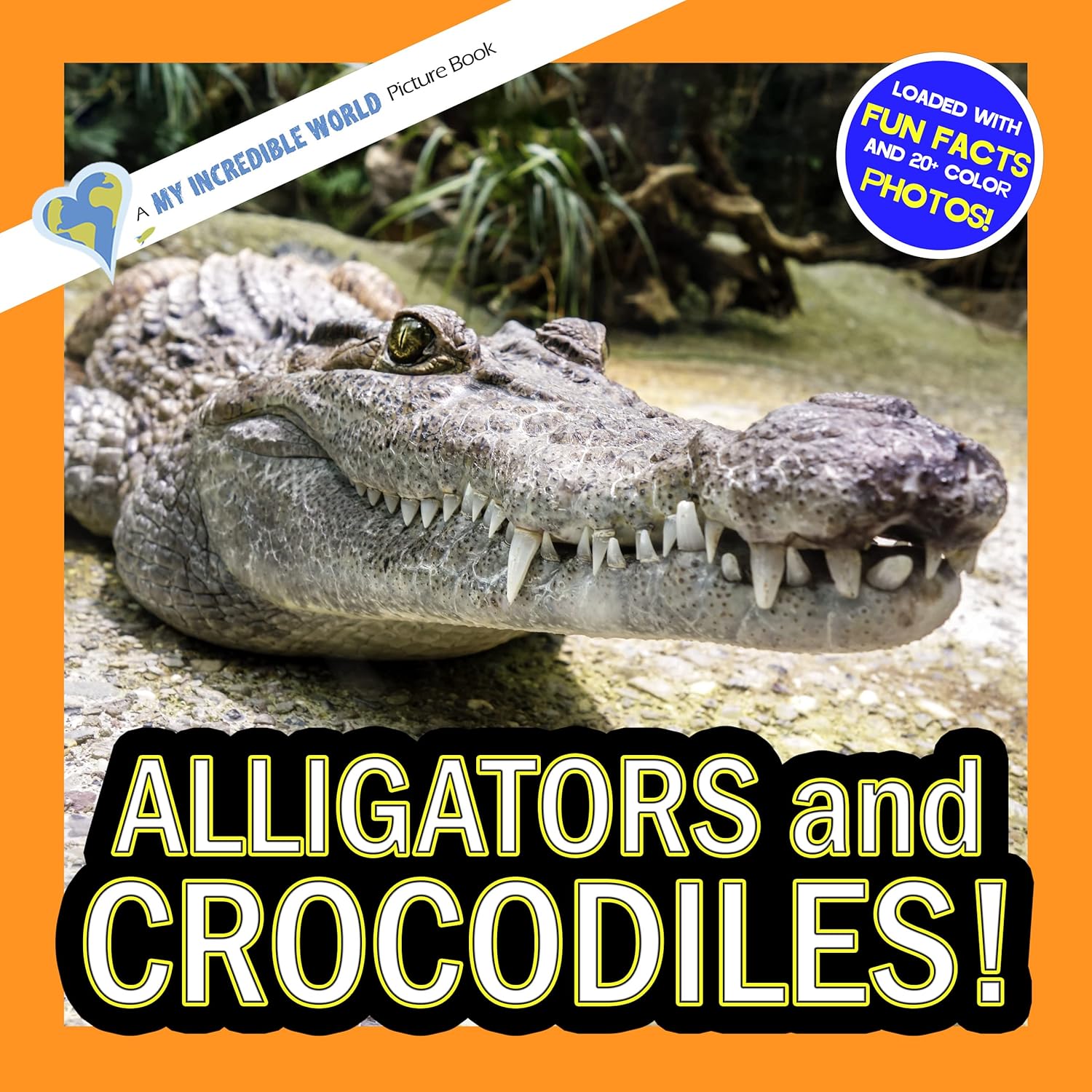 Alligators and Crocodiles!: A My Incredible World Picture Book for ...
