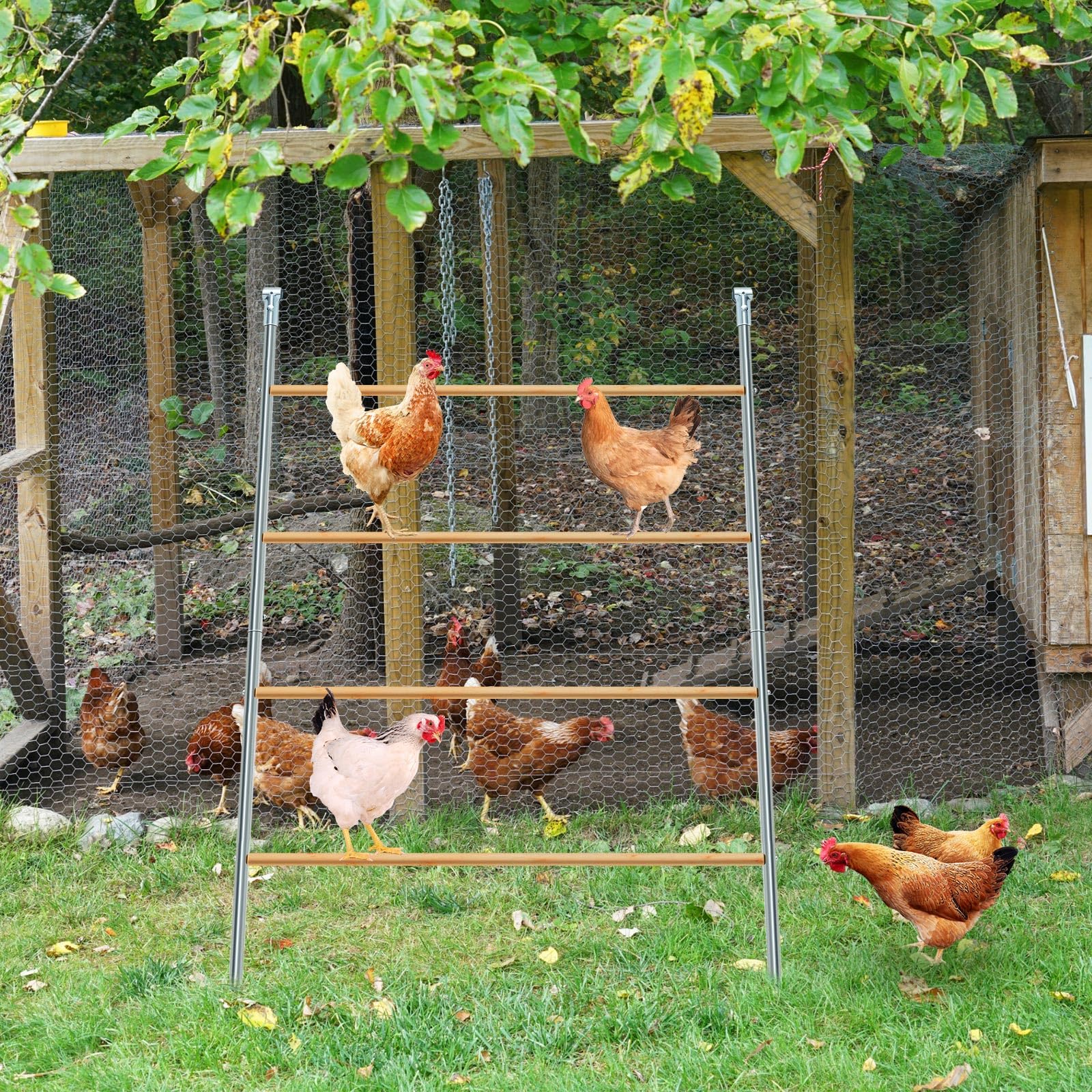 Metal Chicken Perch Chicken Coop Perch With Swing & Ladder - Metal ...