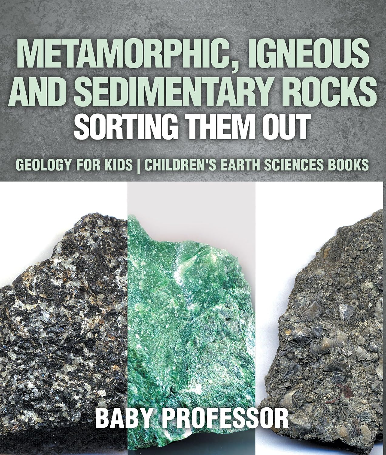 Amazon.com: Metamorphic, Igneous and Sedimentary Rocks : Sorting Them ...