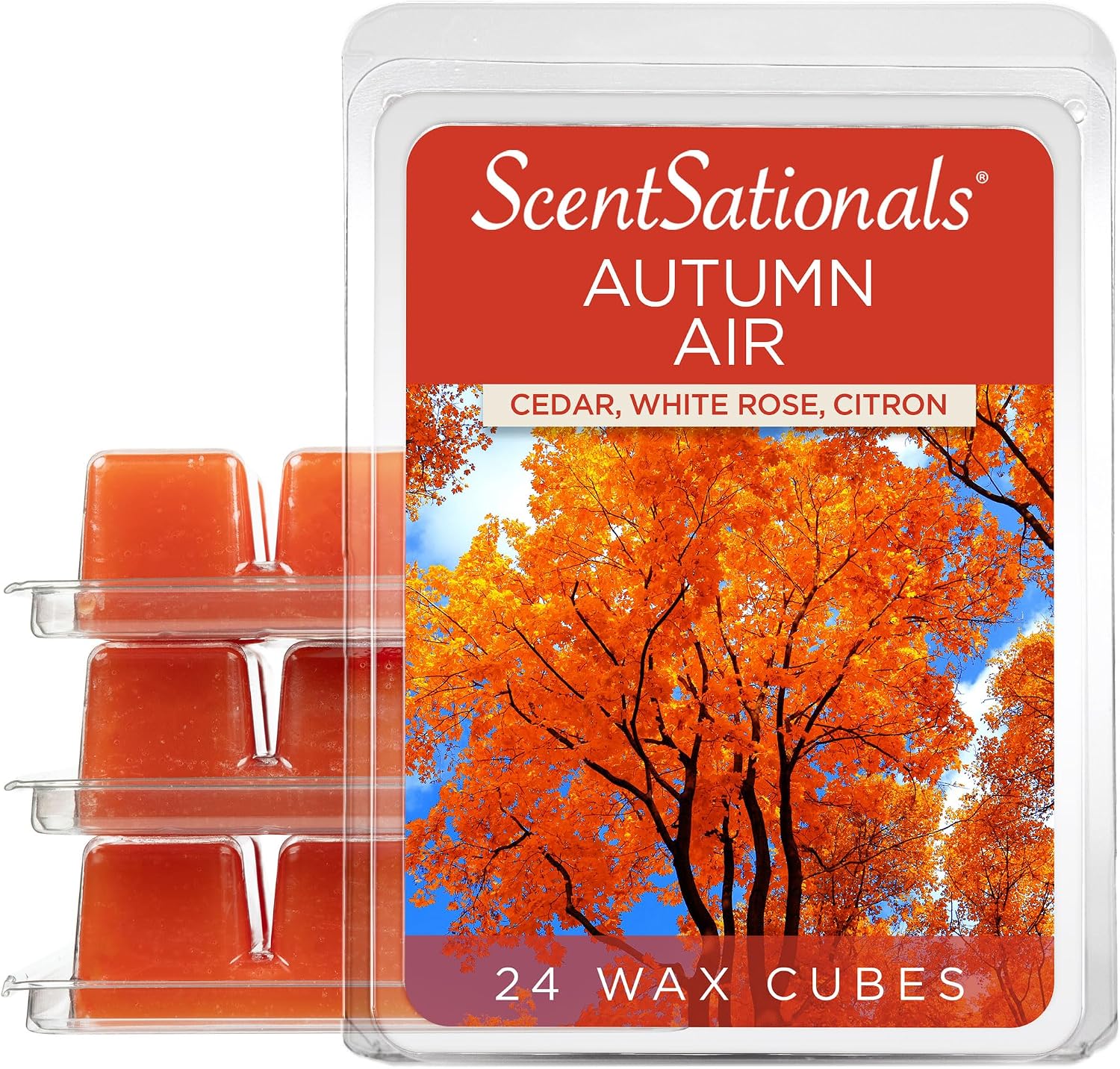 Amazon.com: Scentsationals Wax Melts Strong Scent - Autumn Air - Long ...