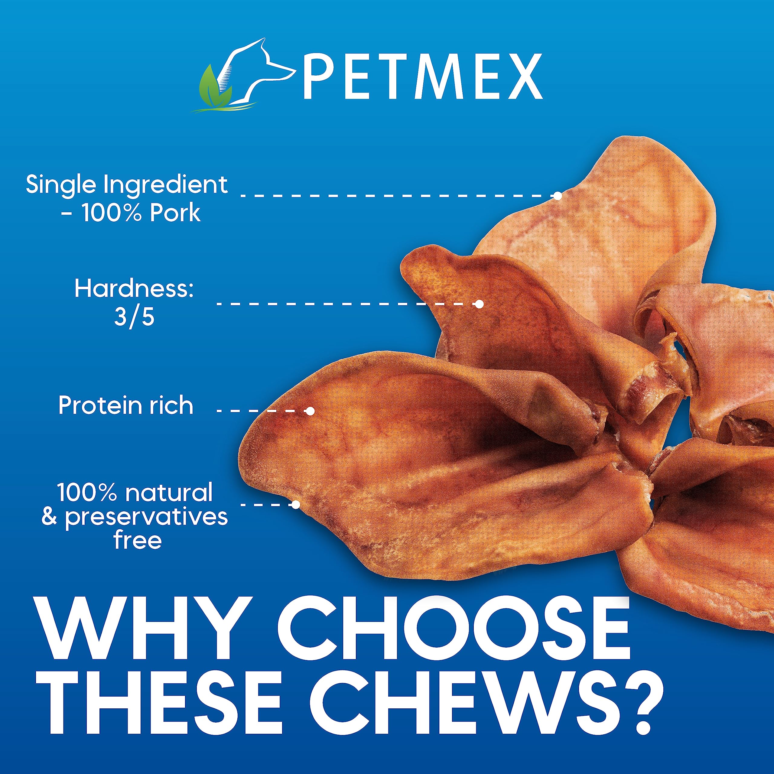 Son Mejores Las Orejas De Cerdo Para Un Patrijshond Drentse Que Las ...