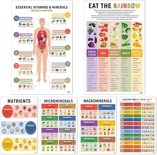 Amazon.com: 6 Pcs Healthy Food Chart Posters (11"x17") Healthy Protein ...