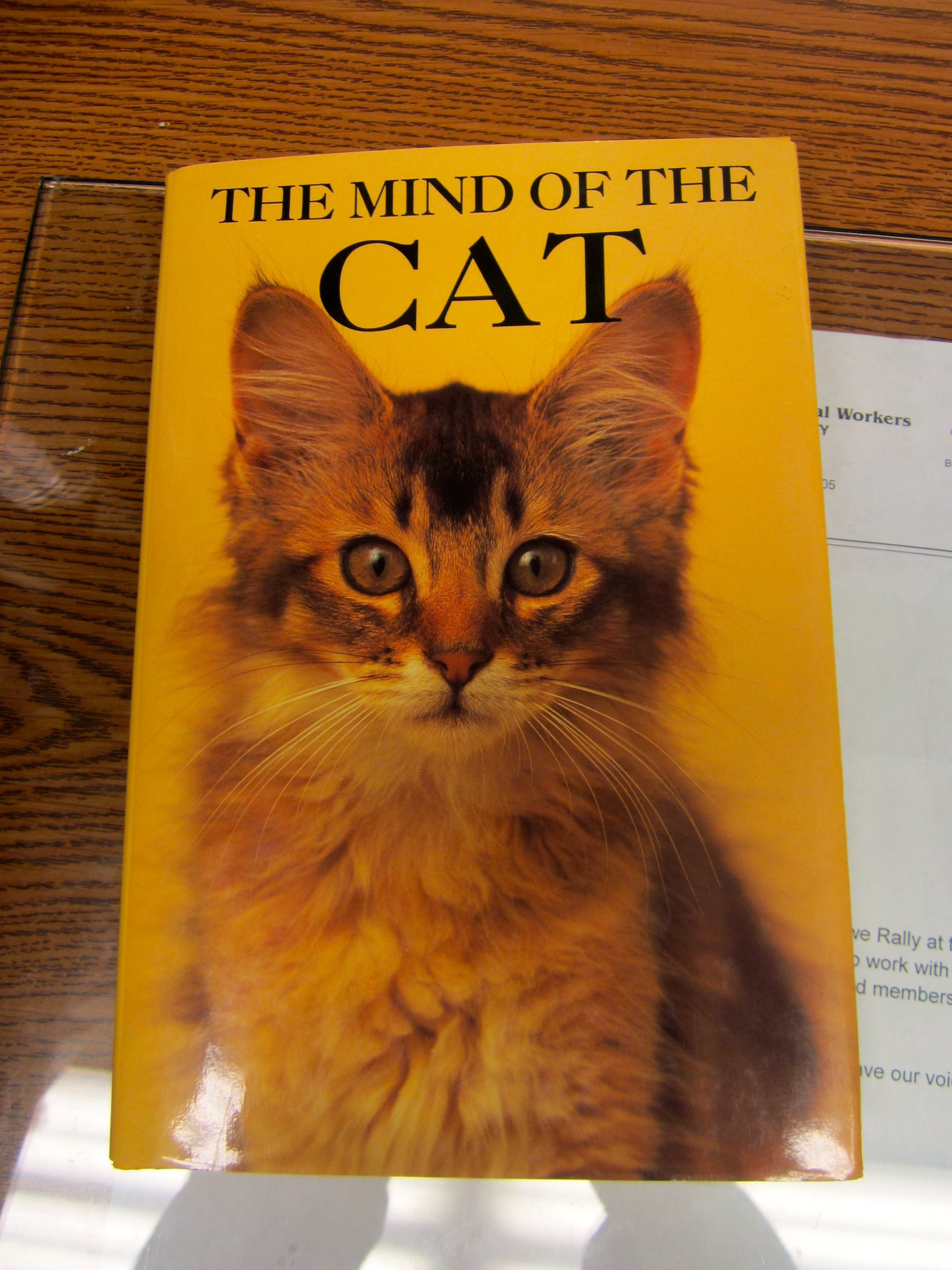 Mind of the Cat: Brodsky, Gary: 9781555216986: Amazon.com: Books