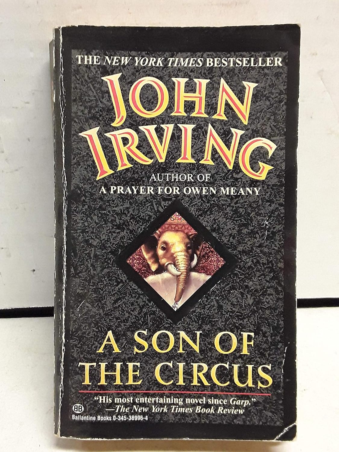 A Son of the Circus : Irving, John: Amazon.fr: Livres