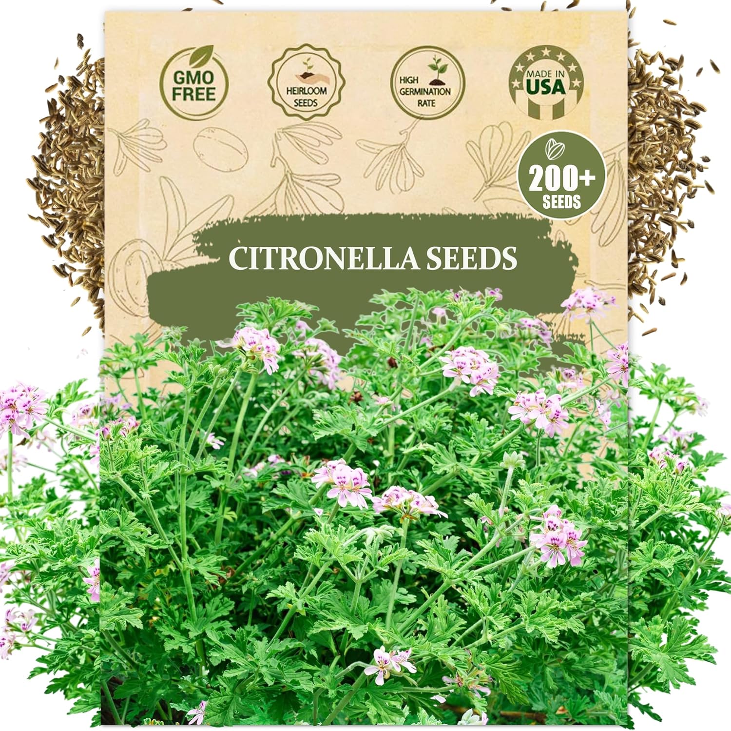 Amazon.com : Premium Citronella Seeds for Planting – 200+ Heirloom, Non ...