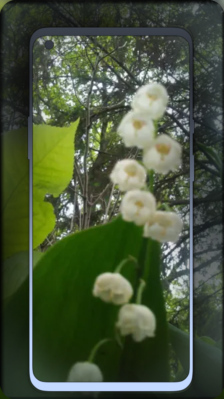 Popcorn Wallpapers 4K HD – Movie Night Backgrounds & Lock Screens for ...