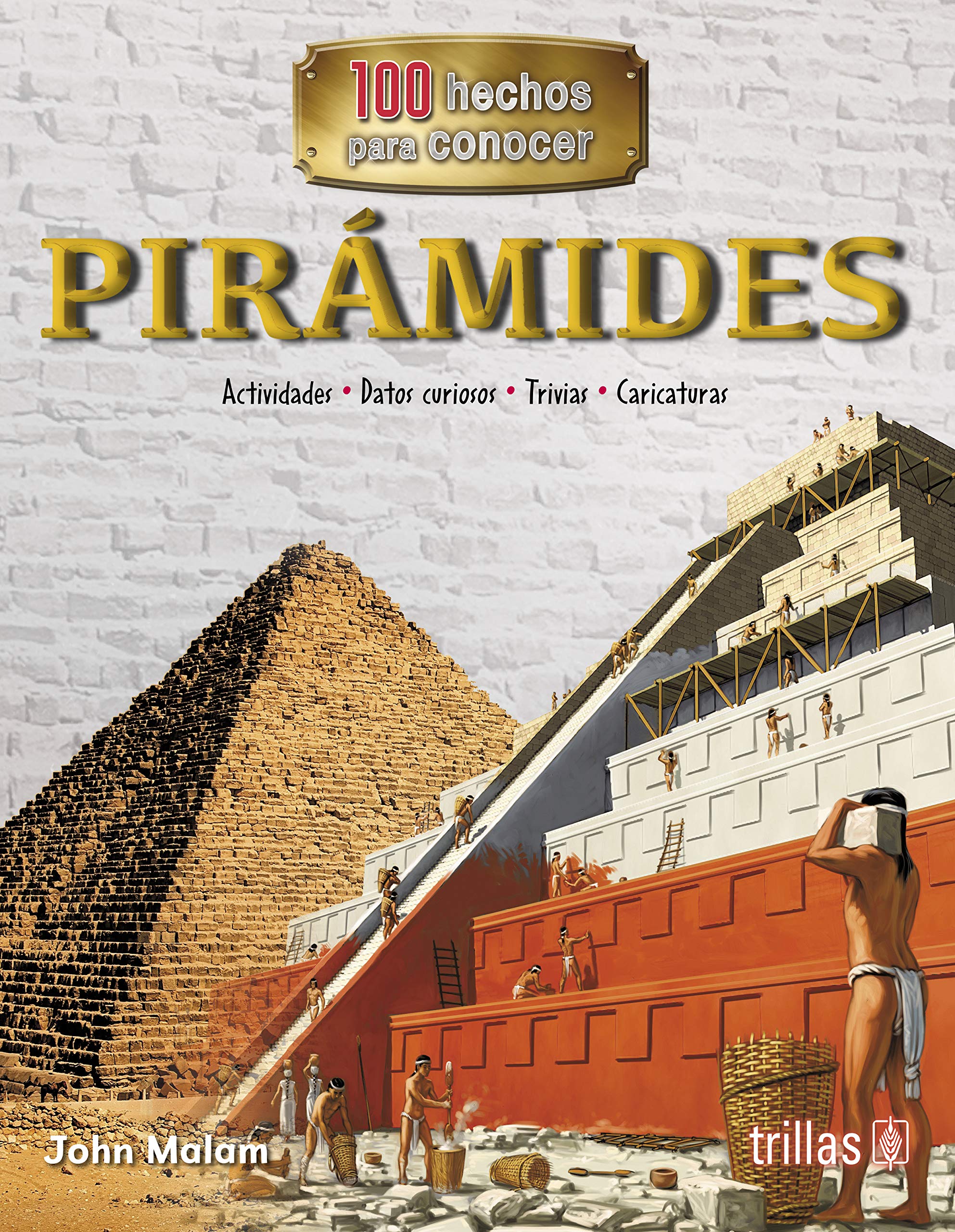 Amazon.com: Pirámides: 9786071736819: Books