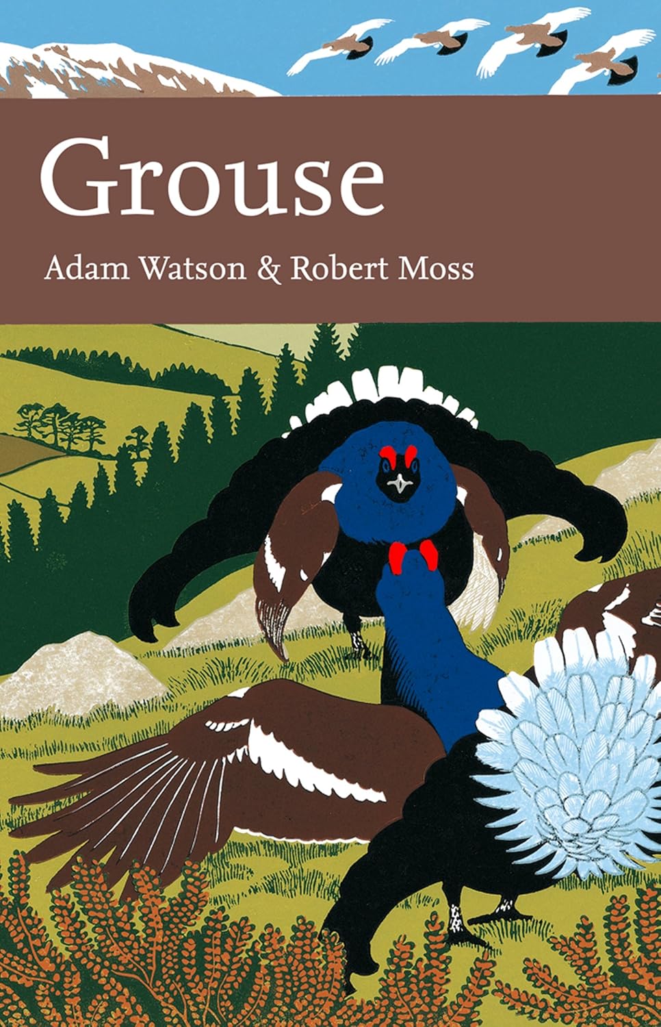 Grouse: A Detailed Natural History of Britain’s Most Iconic Wildlife ...