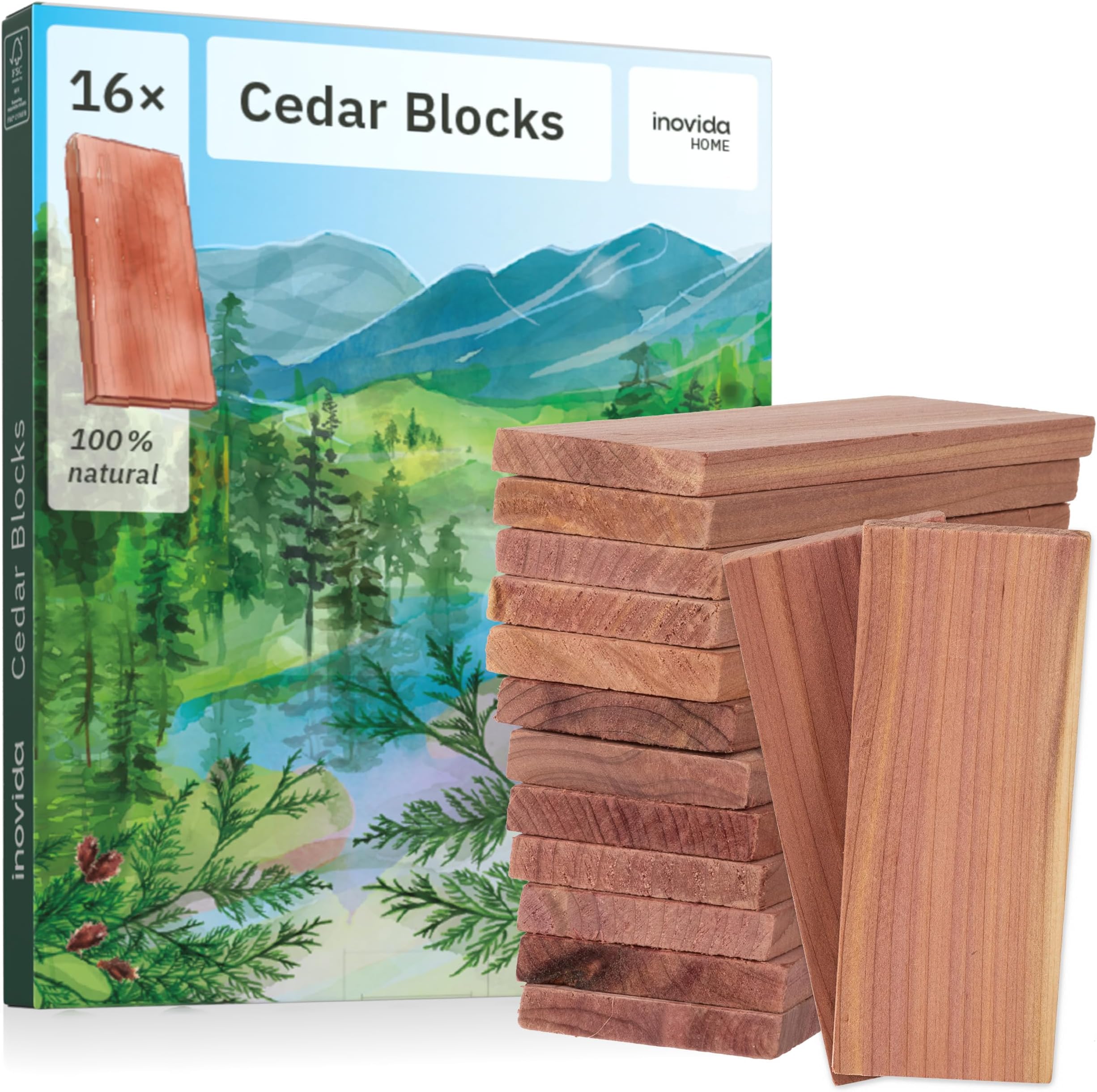 Amazon.com: 16 American Cedar Wood Blocks – Stop Clothes Damage ...