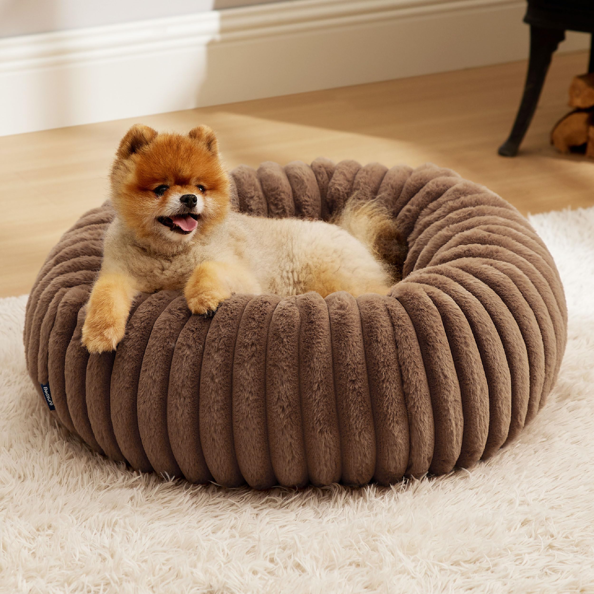 Amazon.com : Bedsure Donut Small Dog Bed - Dog Beds for Small Dogs with ...