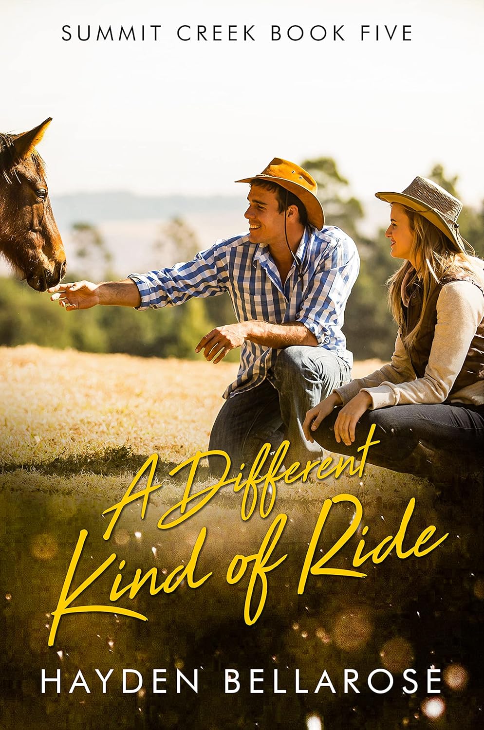 A Different Kind of Ride : Summit Creek Series Book 5 - Kindle edition by Bellarose, Hayden ...