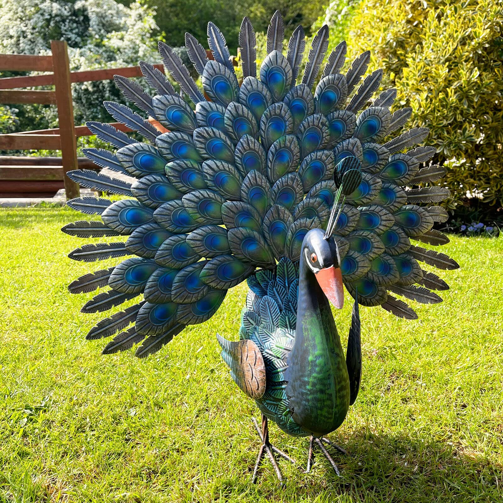 Darthome Peacock Garden Ornament Metal Large Blue Fan Tailed Outdoor ...