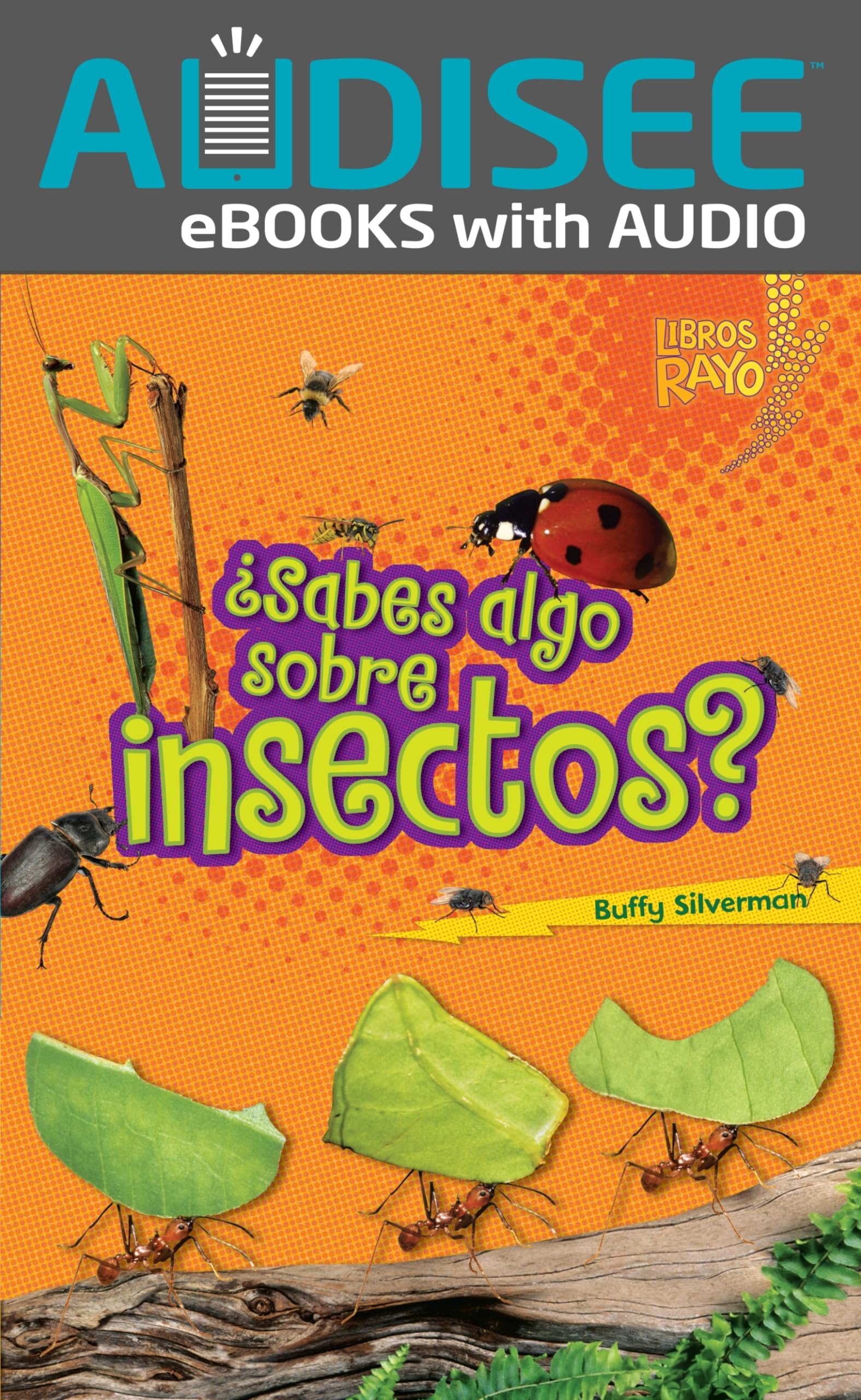 ¿Sabes algo sobre insectos? (Do You Know about Insects?) (Libros Rayo ...