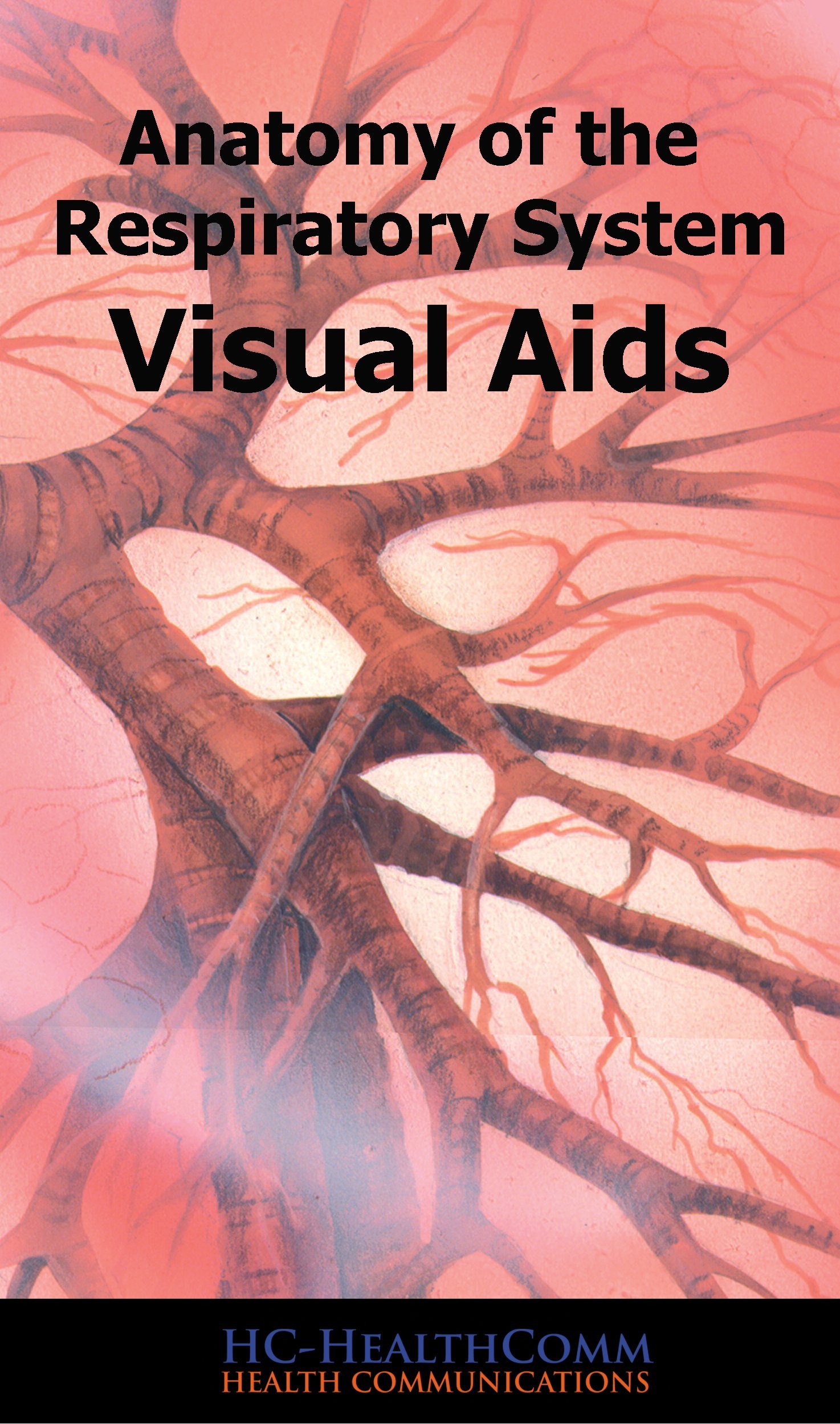 Anatomy Of The Respiratory System Visuald Aids Visuald Aids 2016 ...