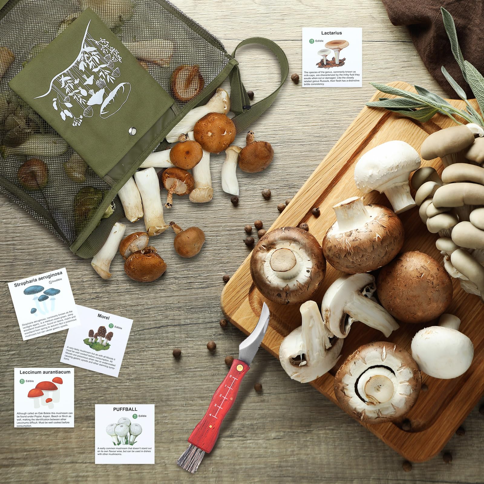 Snapklik.com : Seajan 18 Pcs Mushroom Foraging Kit Includes Hunting Bag ...