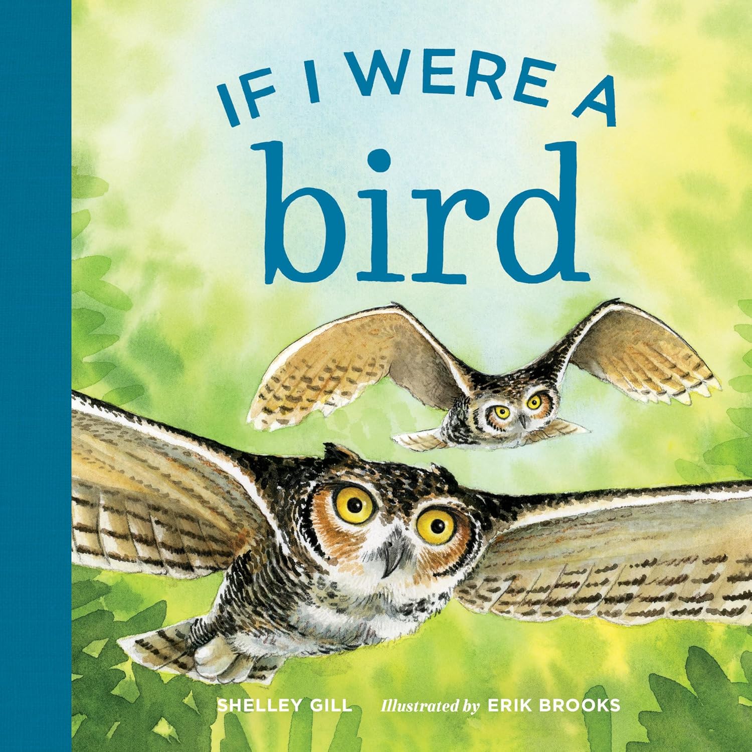 Amazon If I Were A Bird A Board Book For Toddlers Ages 1 3 If I
