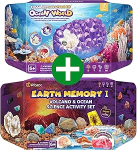 Amazon.com: Ocean Fossil Dig Kit & Volcano Ocean Fossil Dig Kit, Dig up ...