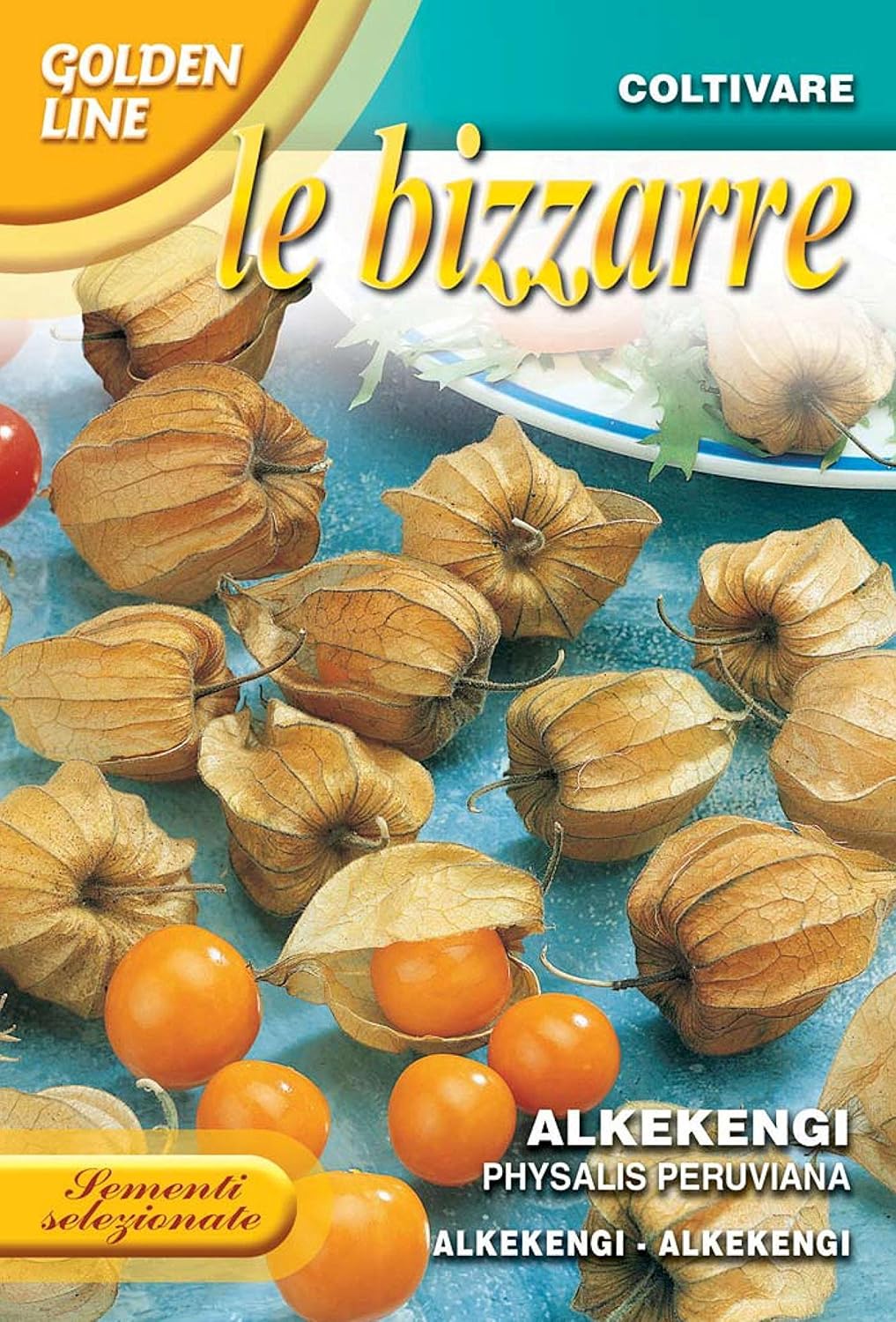 Franchi Seeds of Italy"Physalis Alkekengi" Seeds : Amazon.co.uk: Garden