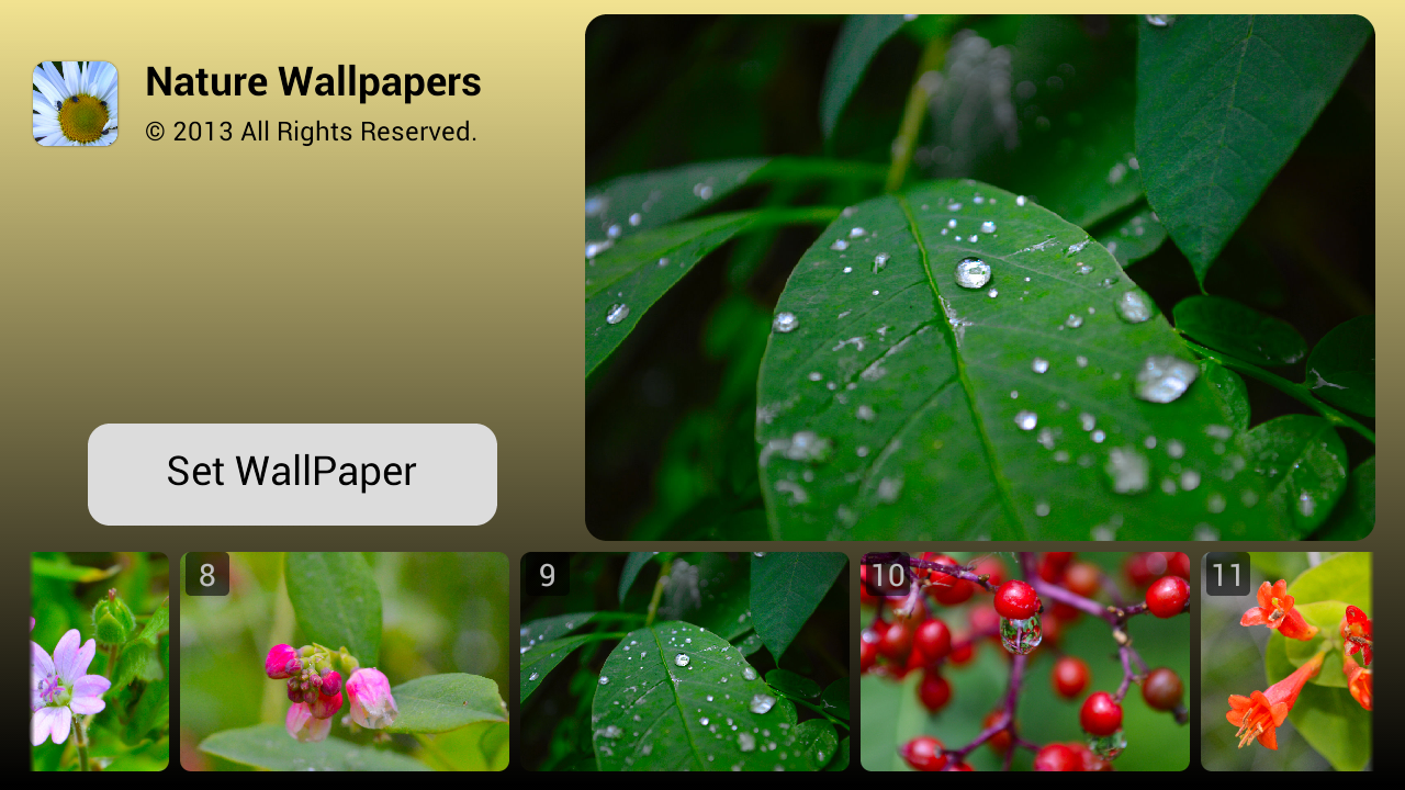 Nature Wallpapers HD Vol. 1 - App on Amazon Appstore