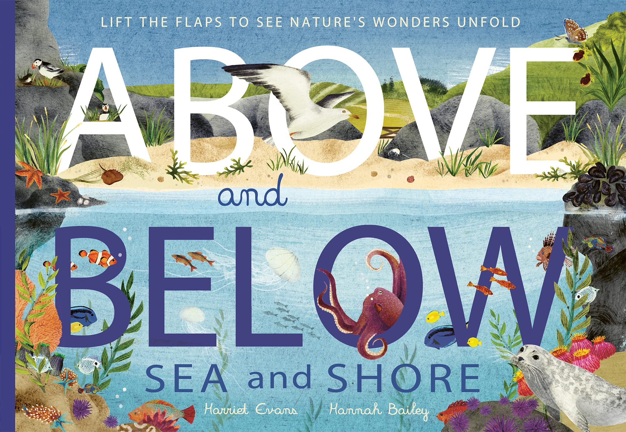 Above and Below: Sea and Shore: Lift the flaps to see nature's wonders ...