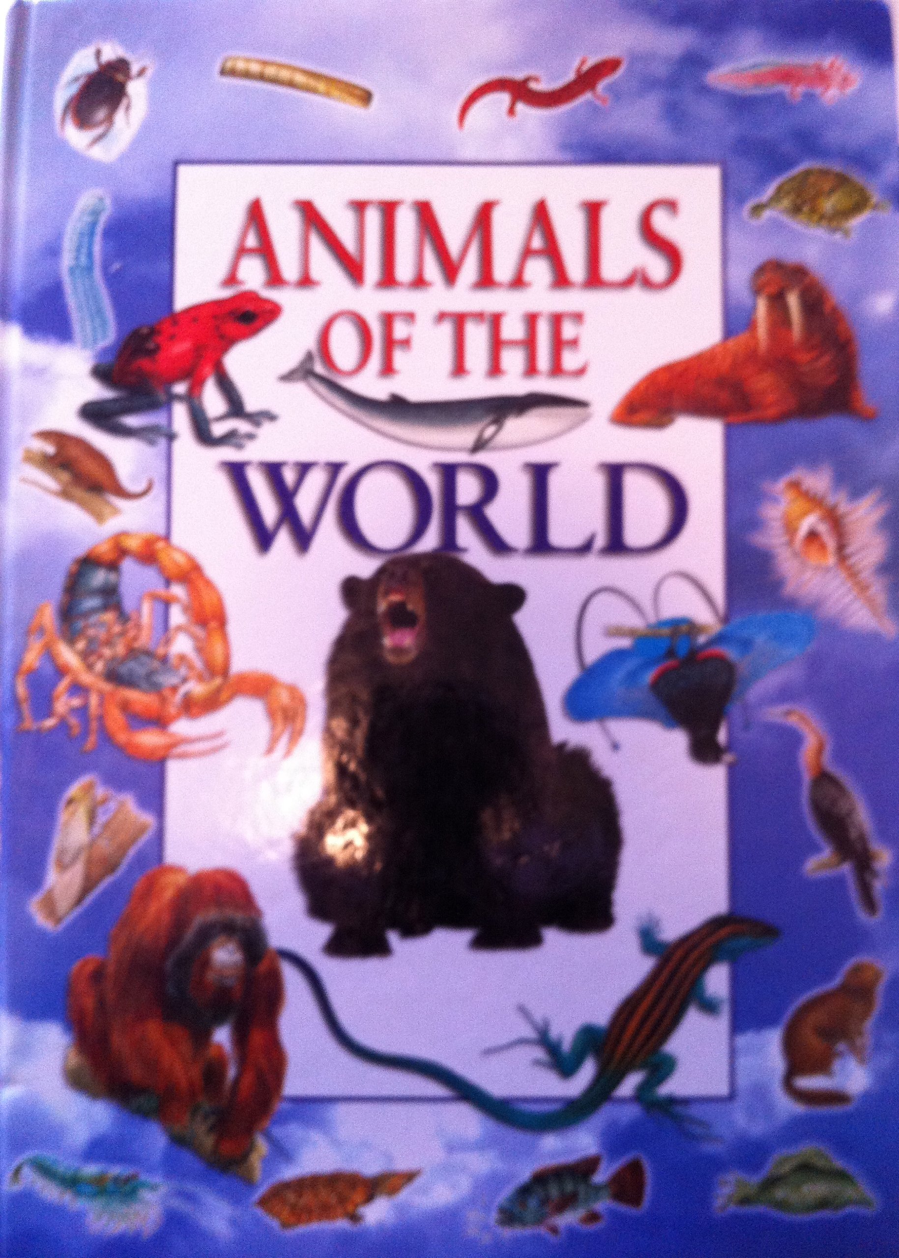 Animals of the World: Martin Walters: 9781840844146: Amazon.com: Books
