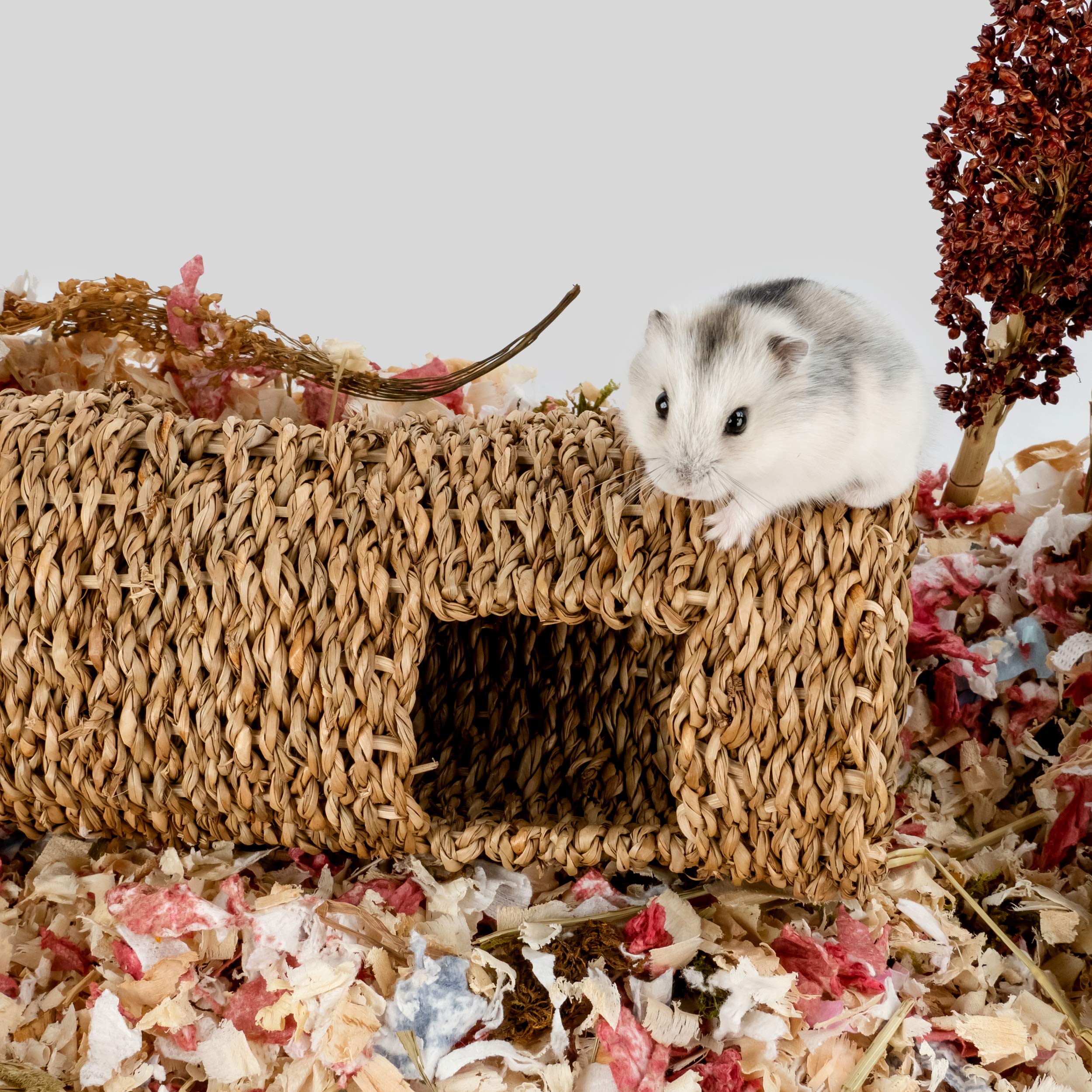 Snapklik.com : Niteangel Creative & Composable Hamster Tunnel - DIY ...