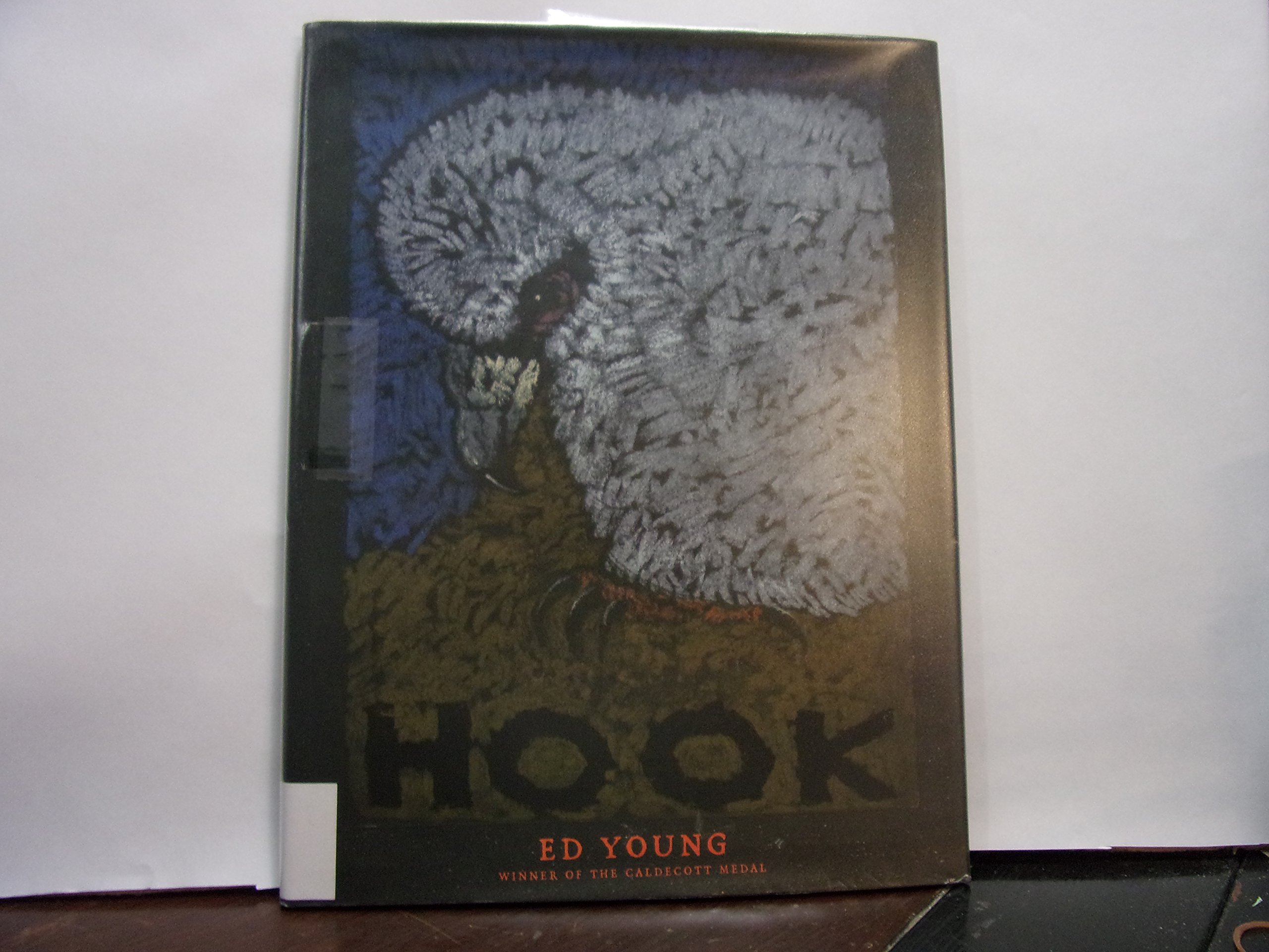 Hook: Young, Ed, Young, Ed: 9781596433632: Amazon.com: Books