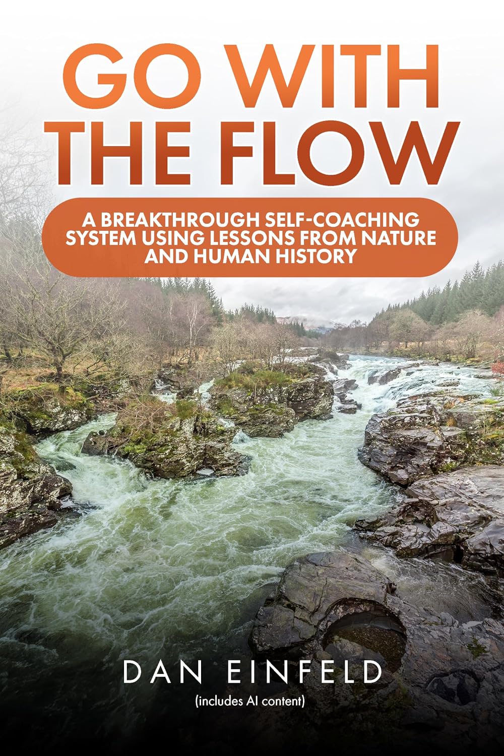 Go With the Flow: (a breakthrough self-coaching system using lessons ...