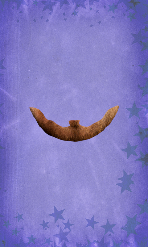 Bart Booth Foto Editor:Amazon.de:Appstore for Android