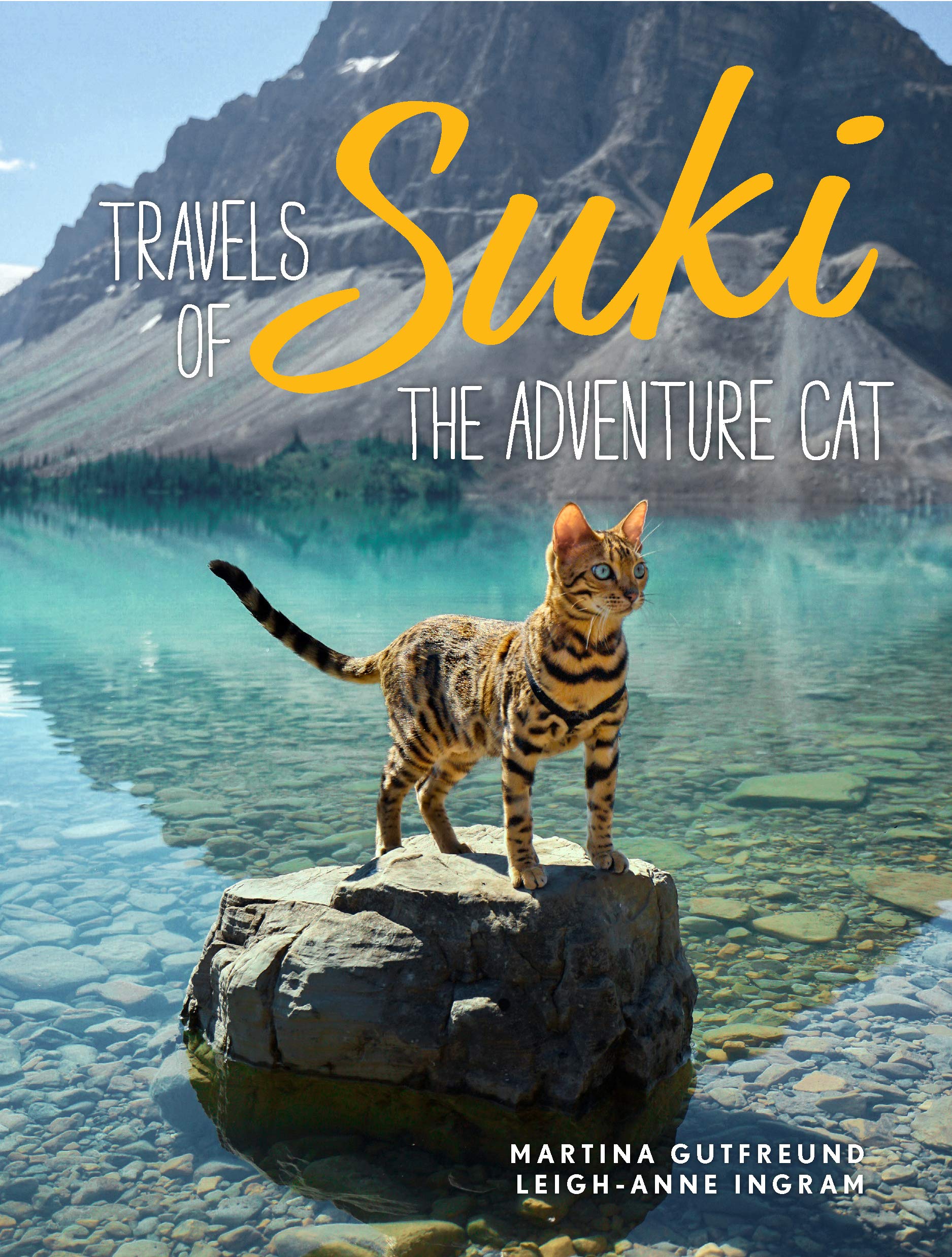 Amazon.com: Travels of Suki the Adventure Cat: 9781524855680: Gutfreund ...