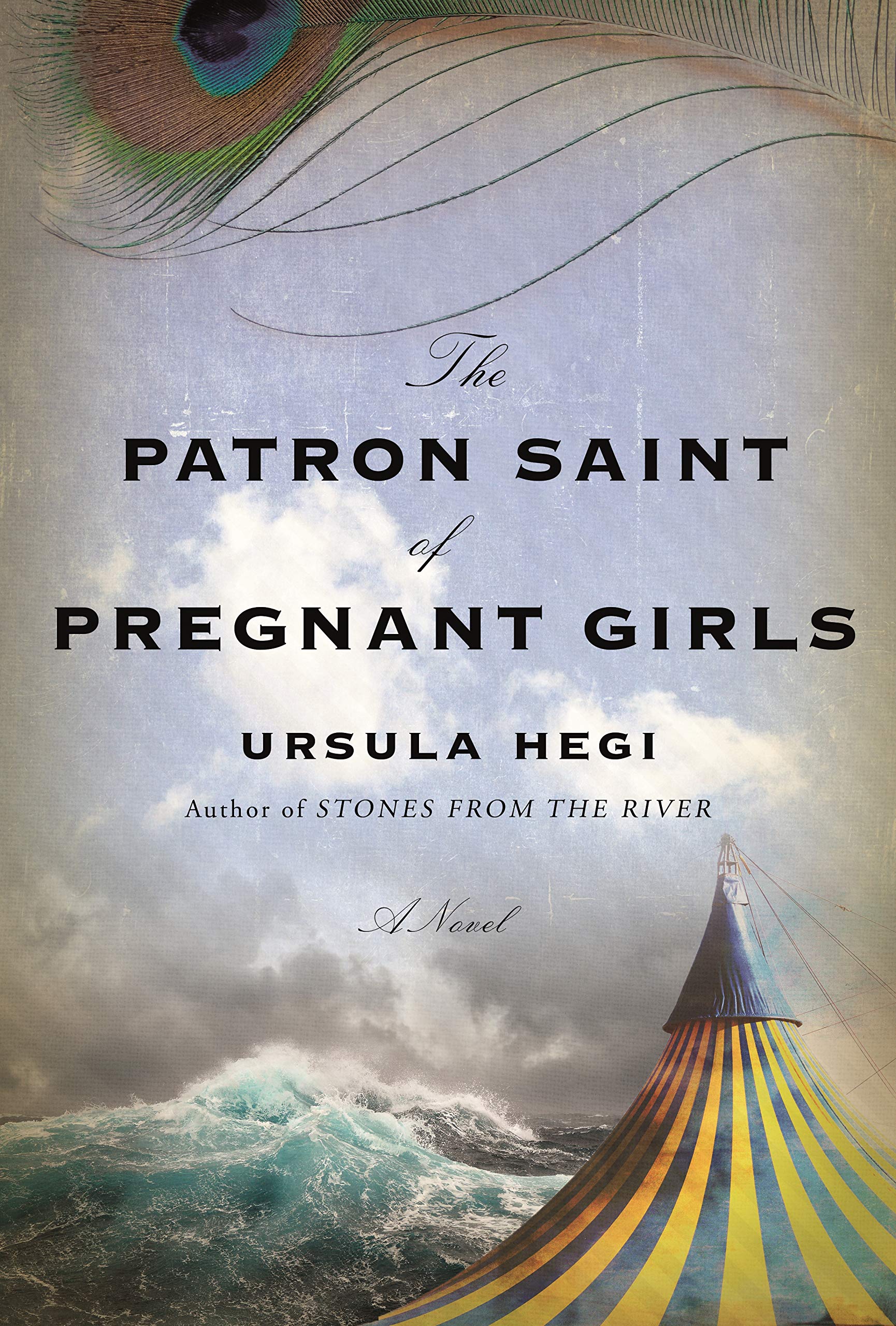 The Patron Saint of Pregnant Girls: A Novel: Hegi, Ursula ...