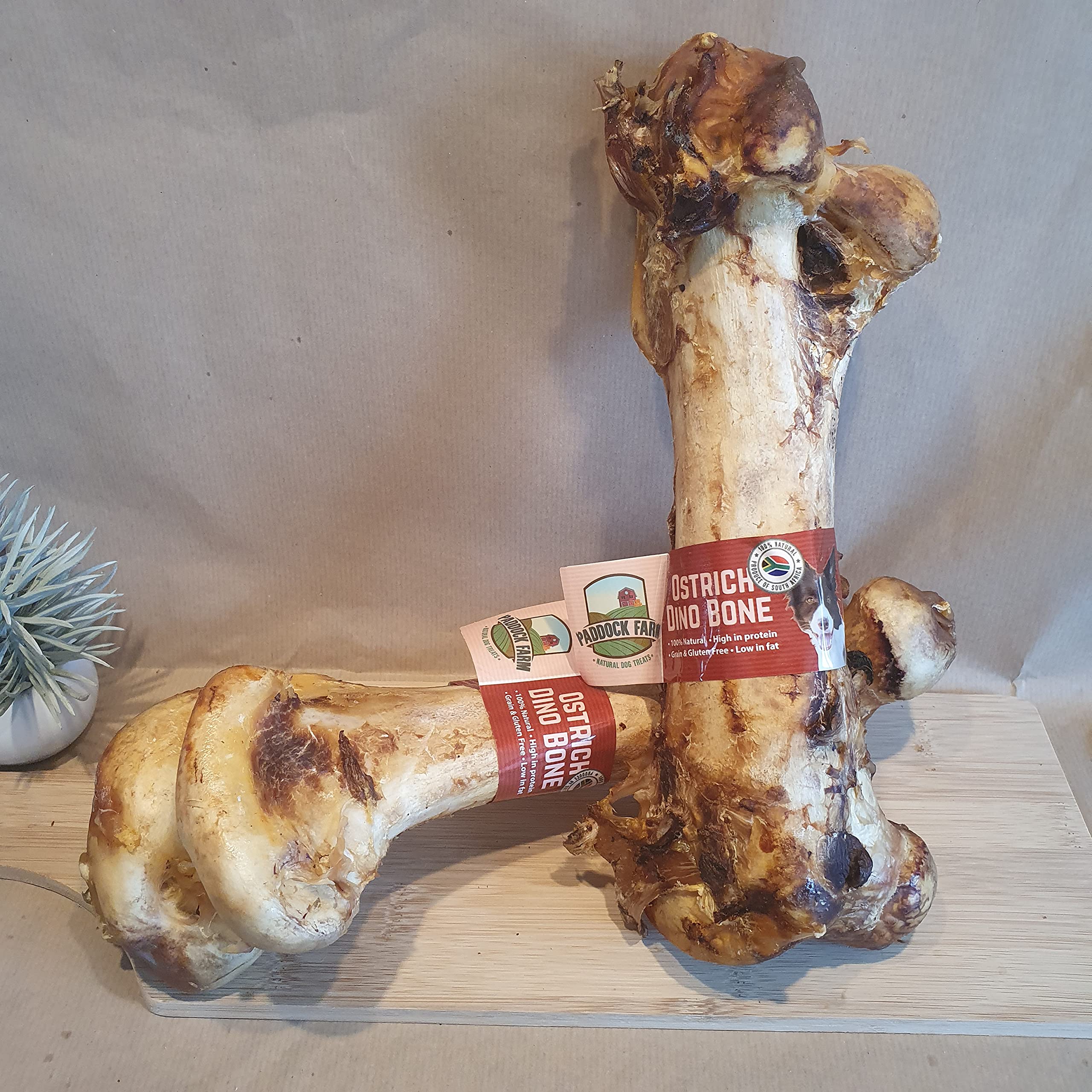 Ultimate Ostrich “DINO” Bone. A Huge Safer Bone for Big Dogs – BigaMart