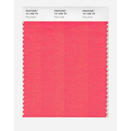 Pantone 18-4245 Nylon Brights Color Swatch Card - House Paint - Amazon.com