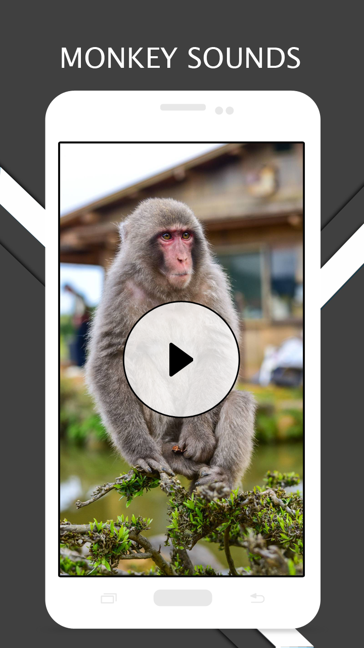 Aplicación Monkey Sound And Ringtones en Amazon Appstore