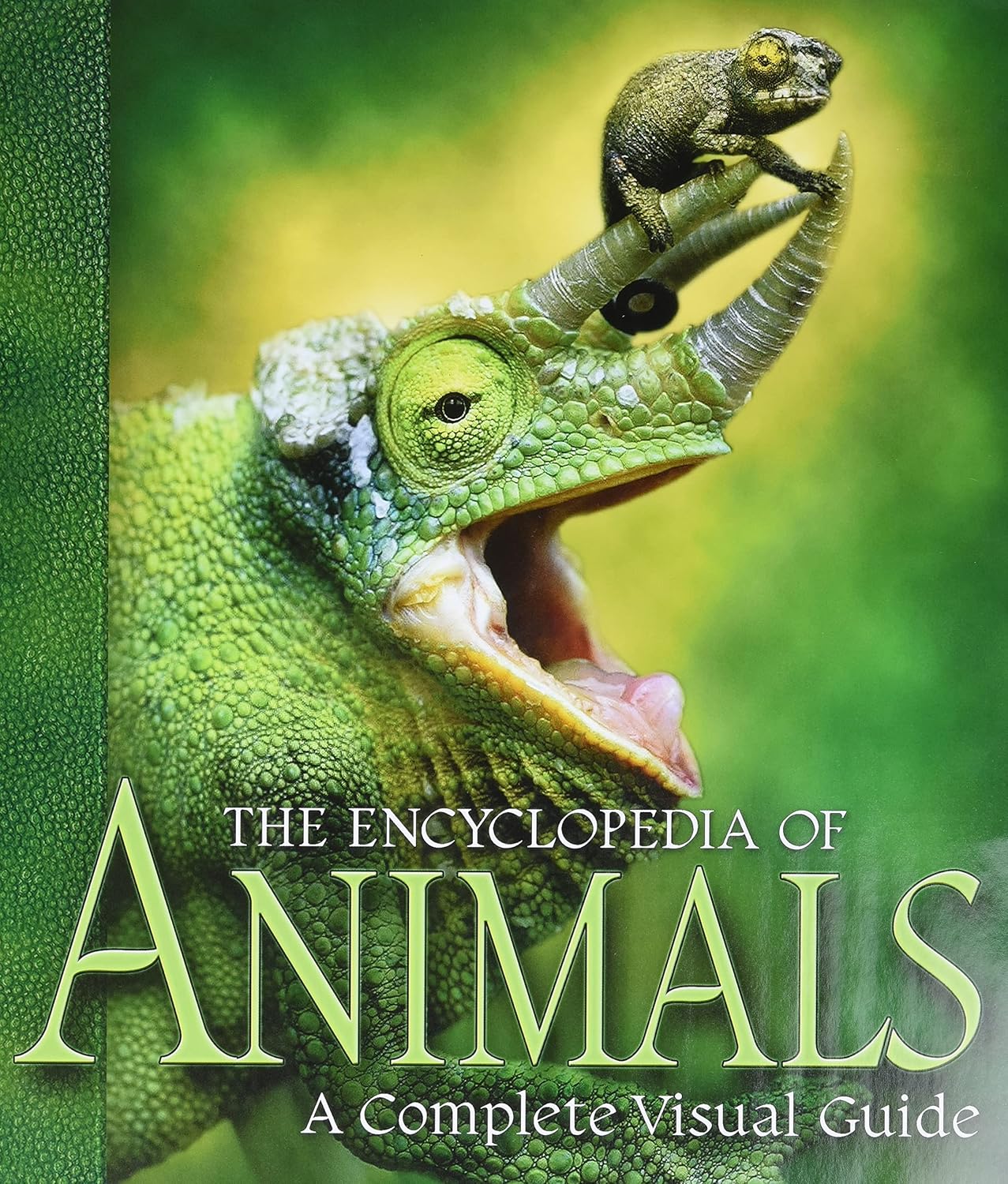 The Encyclopedia of Animals: A Complete Visual Guide | Amazon.com.br