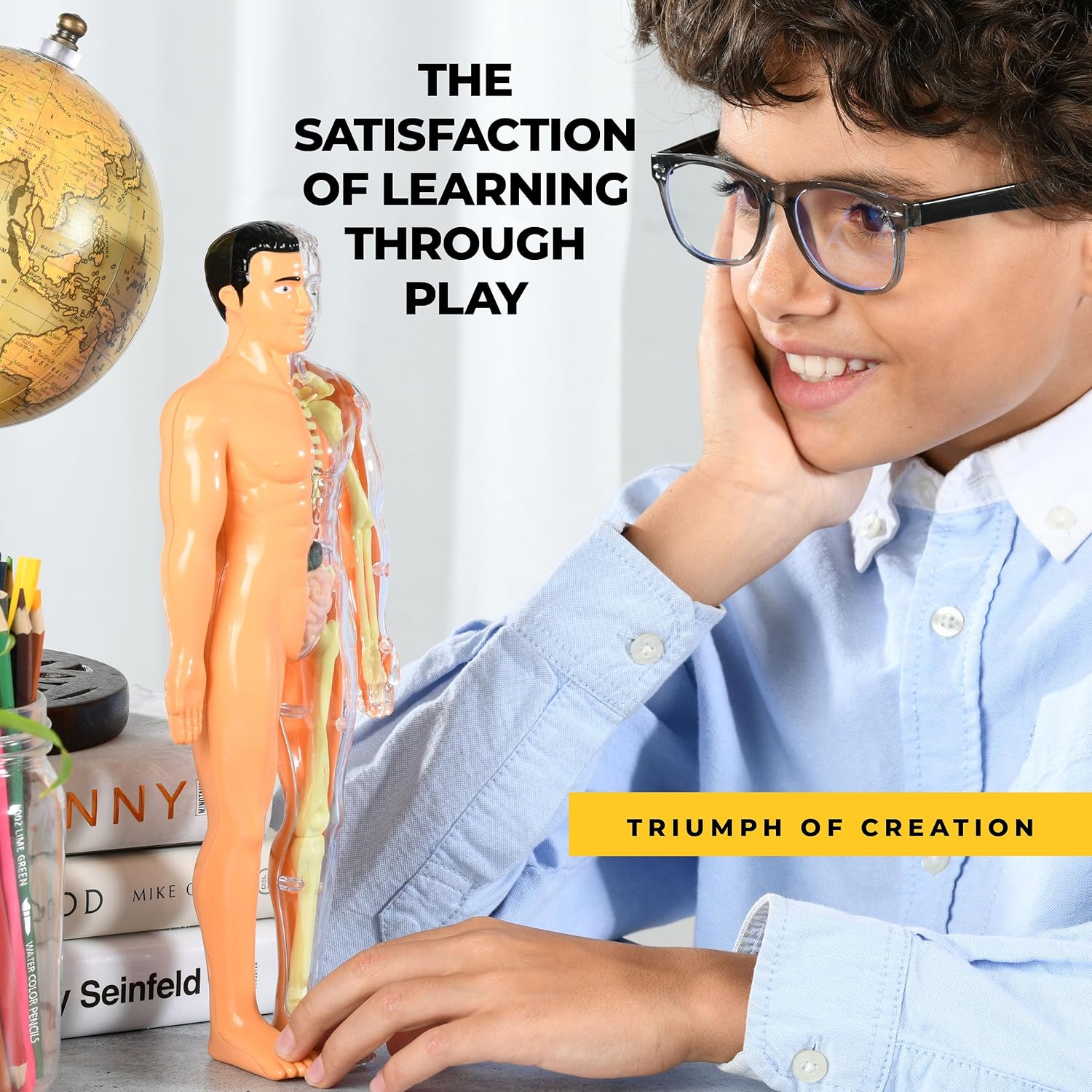 Human Anatomy Model - Removable Skeleton & Torso for Kids & Teens - 30 ...