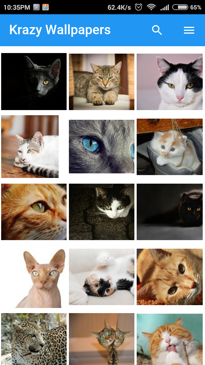 Krazy Wallpapers:Amazon.de:Appstore for Android