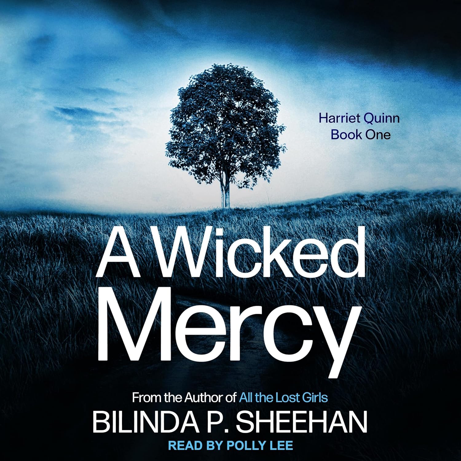 A Wicked Mercy: Bilinda Sheehan: 9798212295529: Amazon.com: Books