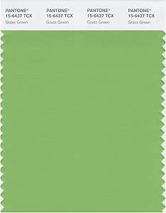 PANTONE SMART Color Swatch Card, Verde césped : Amazon.com.mx ...